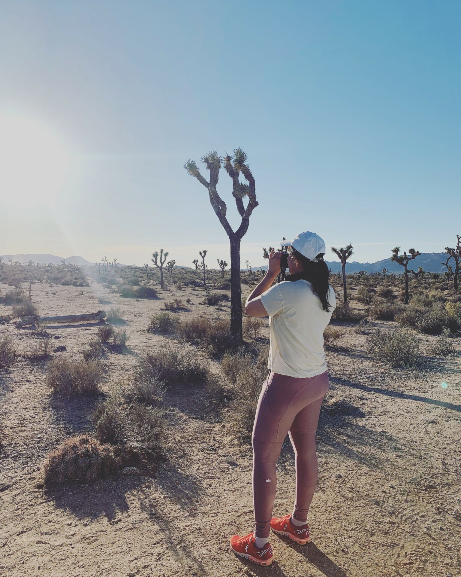 Meet Neha Gupta-Ednie - Bold Journey Magazine