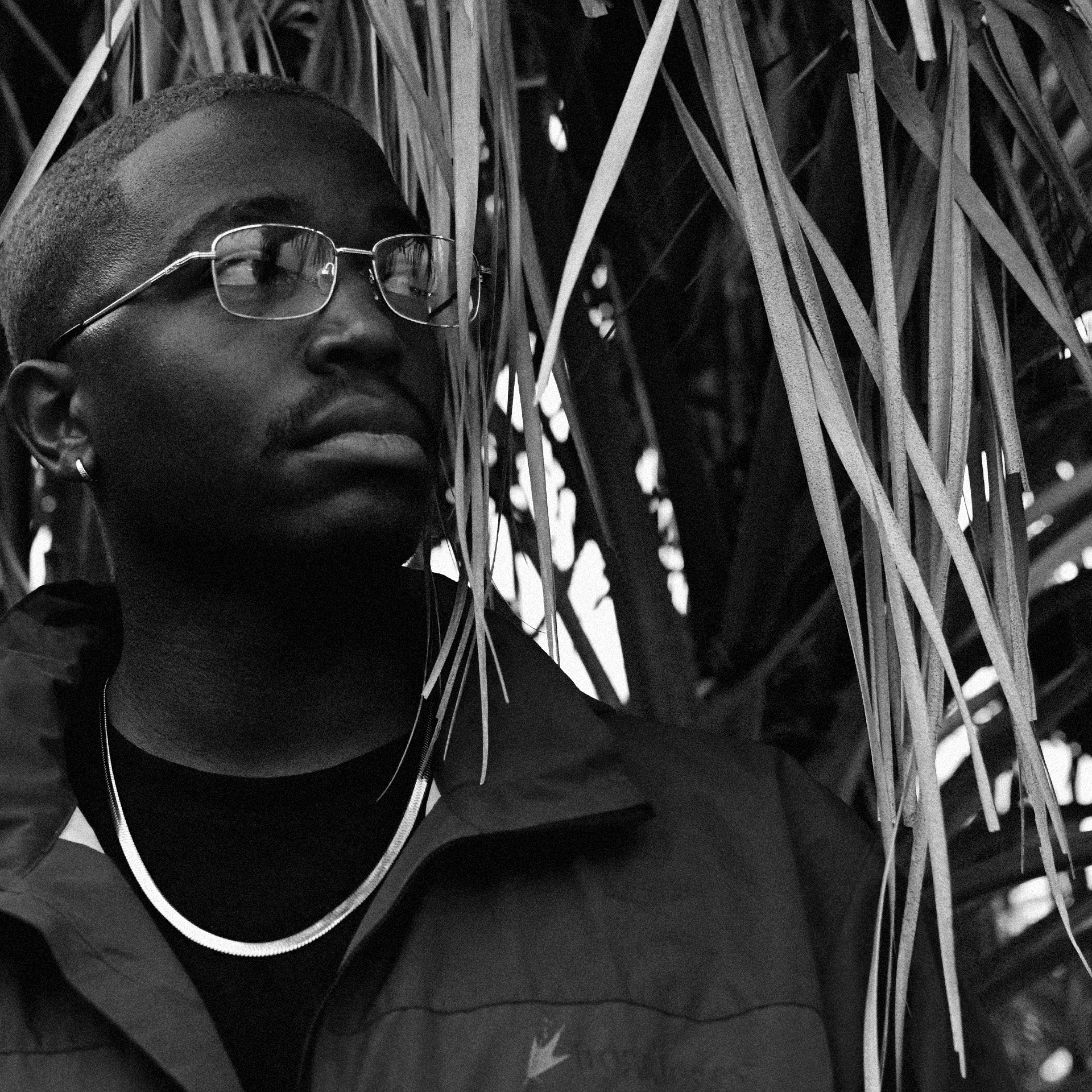 Meet Chris Mohead - Bold Journey Magazine