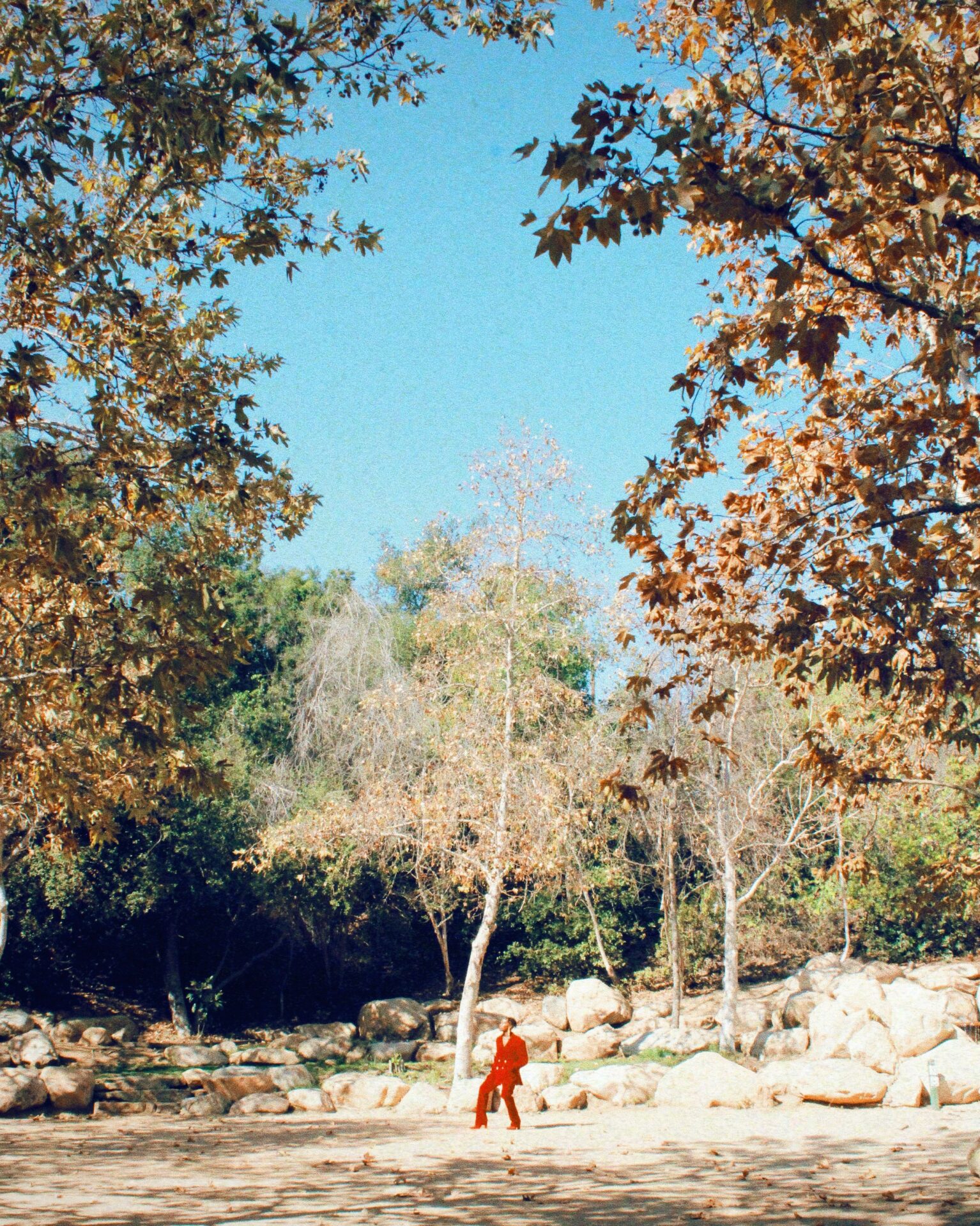 Meet Beoncia Dunn - Bold Journey Magazine