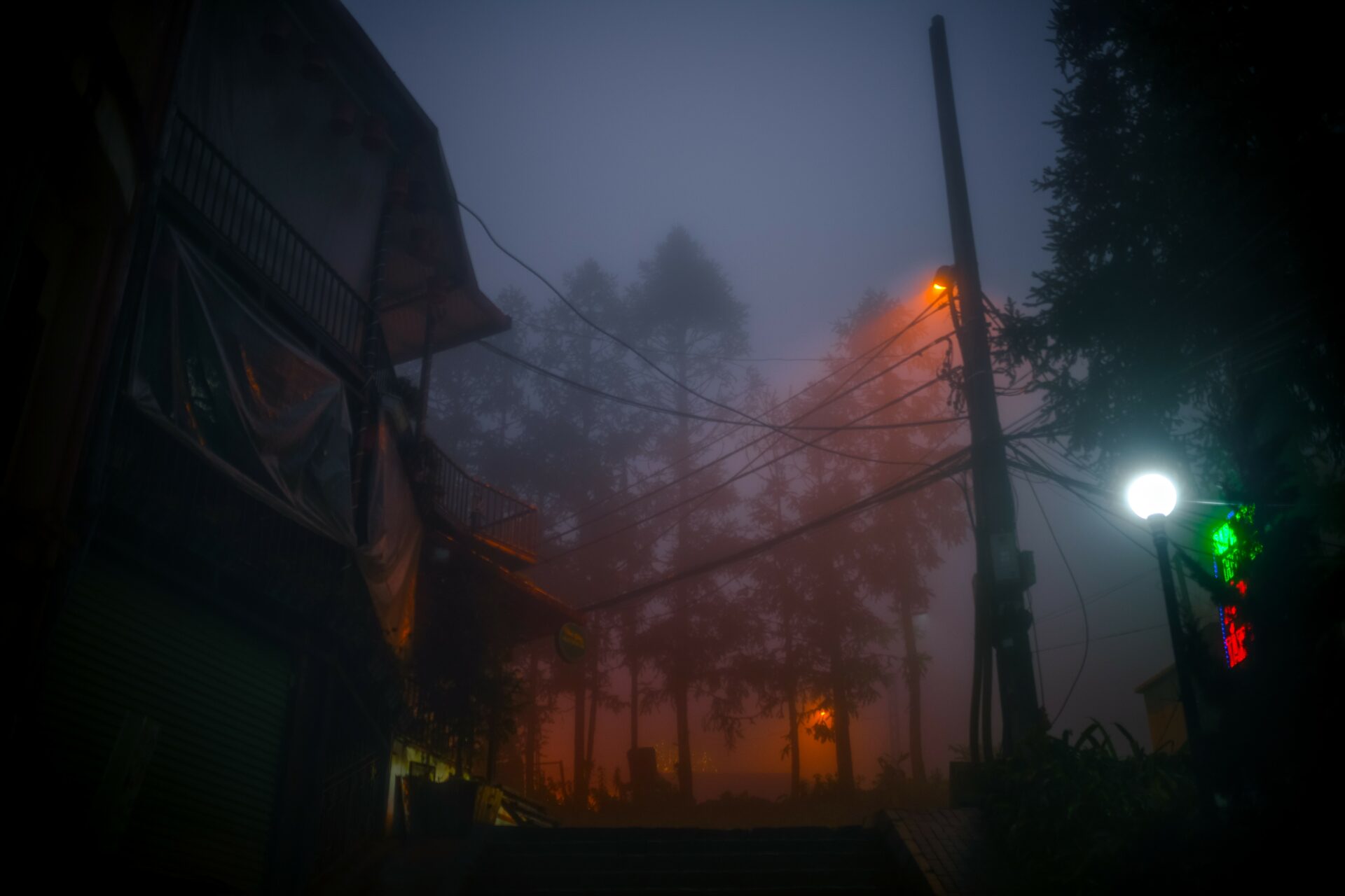 Meet Isabel Padilla - Bold Journey Magazine