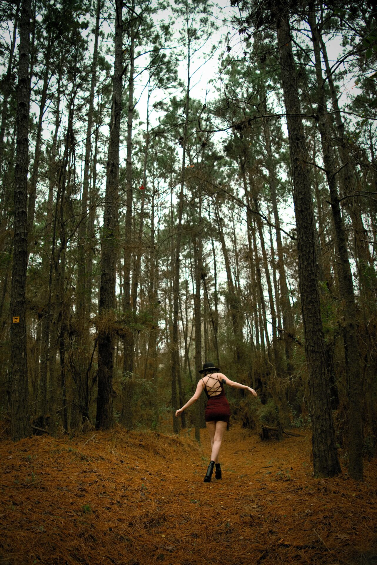 Meet Jose Ramirez - Bold Journey Magazine