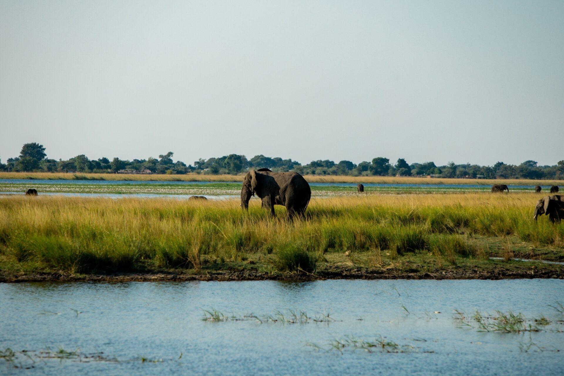 Meet Mary Kate Benitez - Bold Journey Magazine