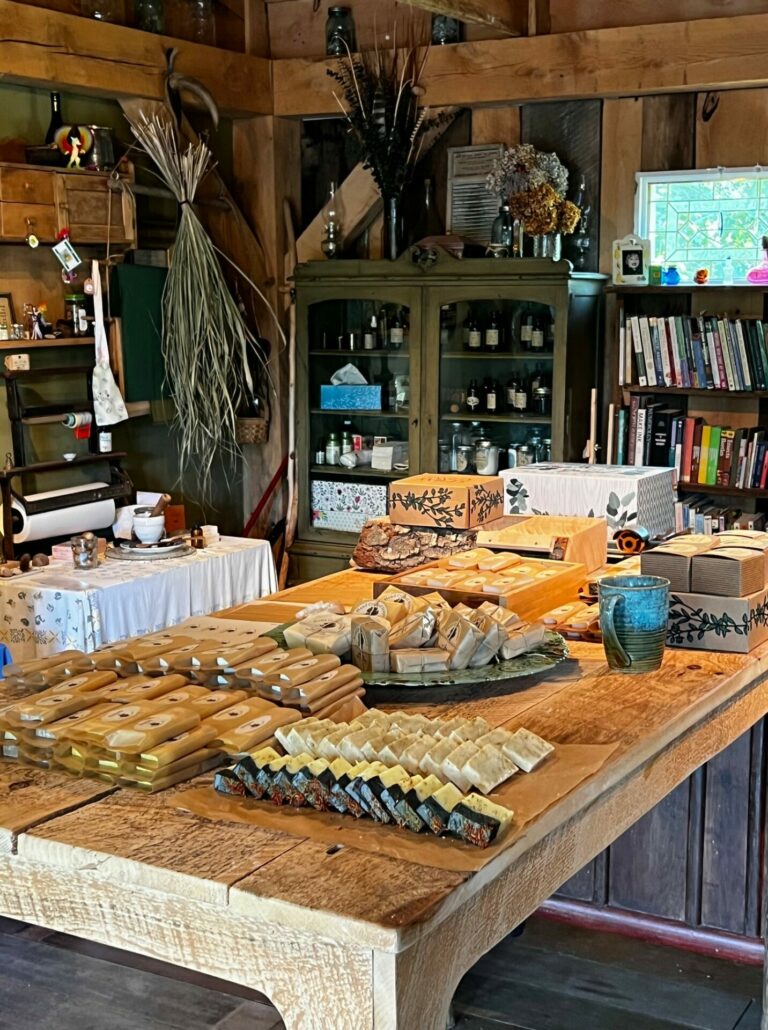 Meet Jill Laseke - Bold Journey Magazine