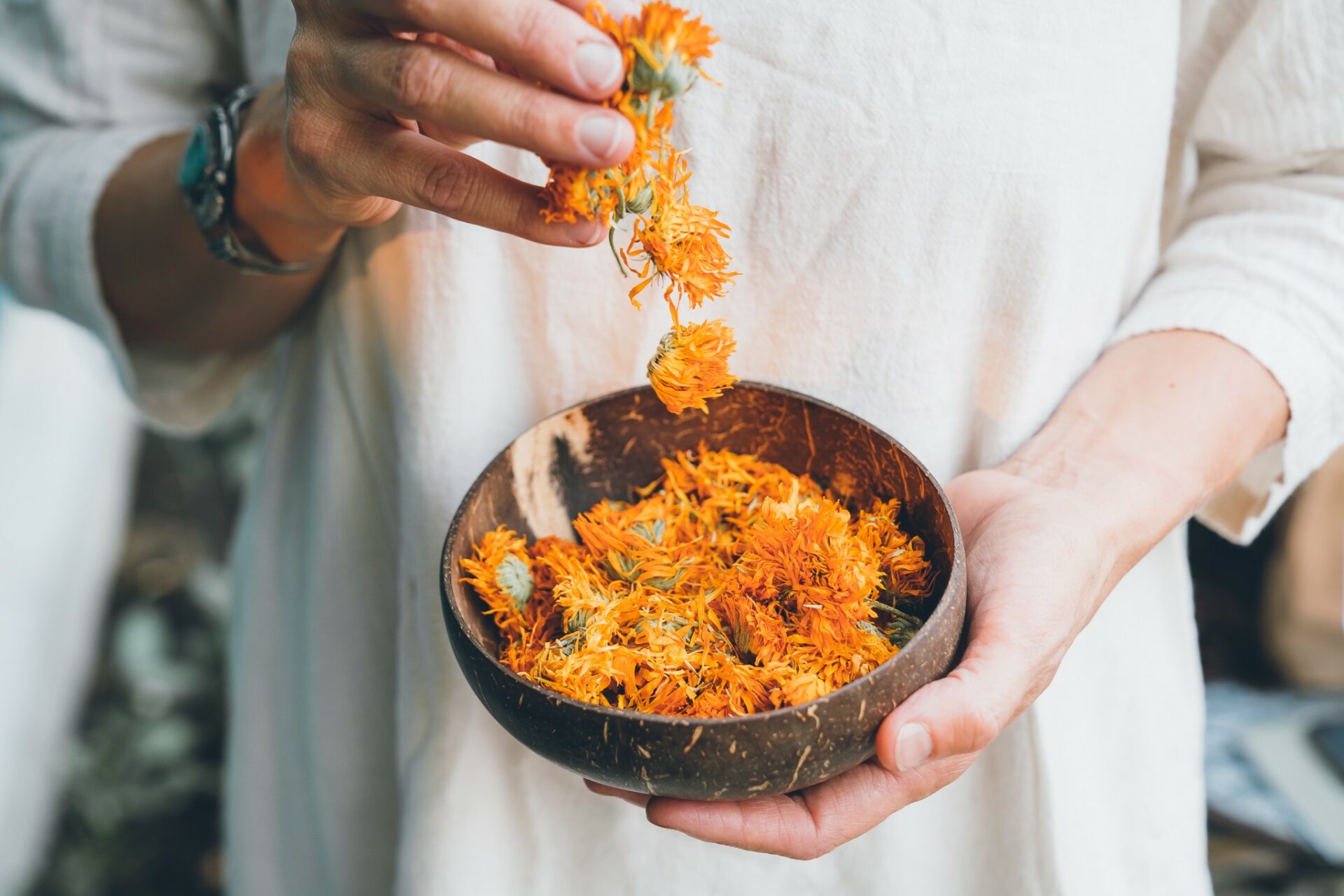 Meet Sarah Scarborough - Bold Journey Magazine