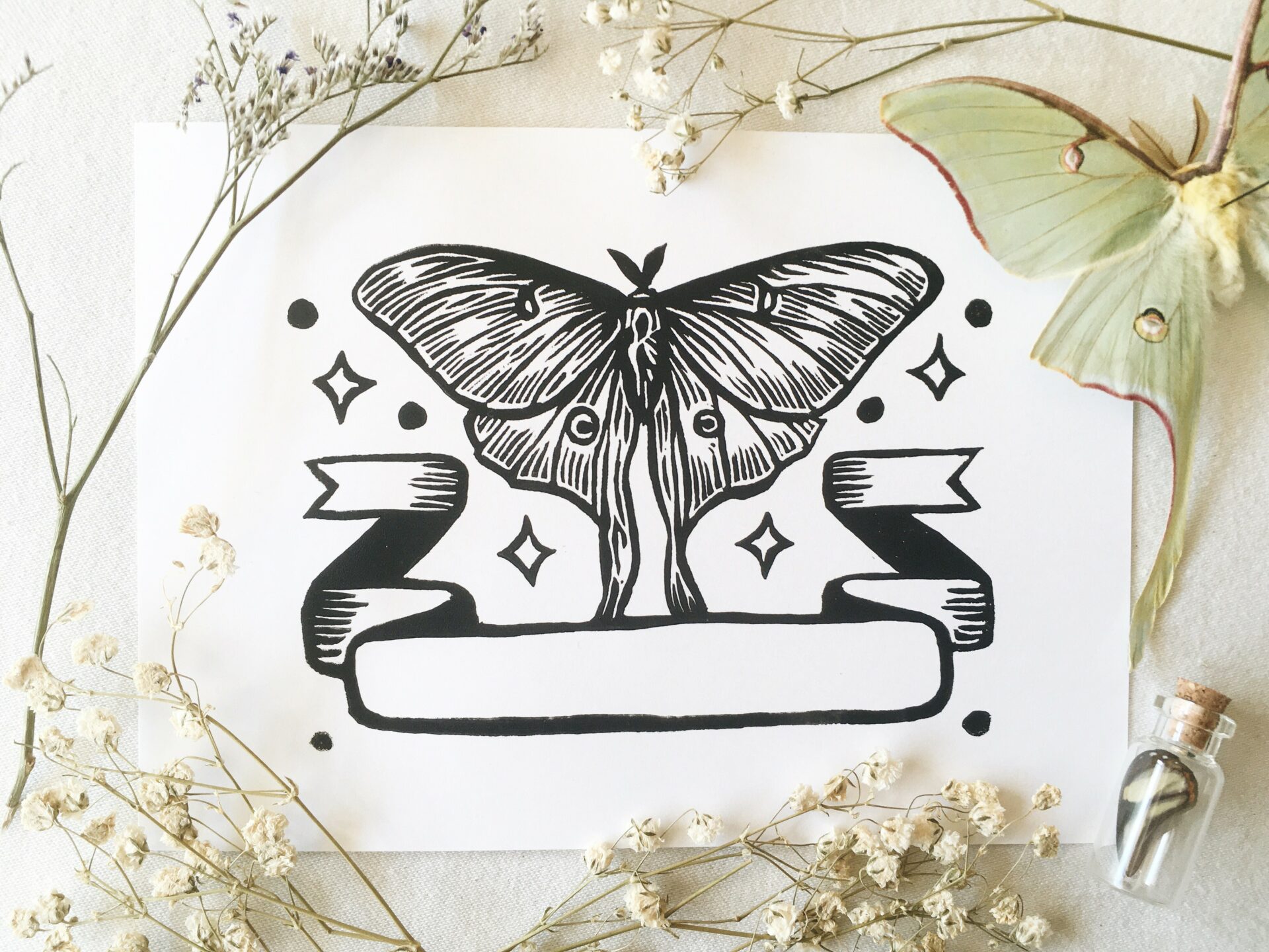 Meet Stephanie Lailine - Bold Journey Magazine