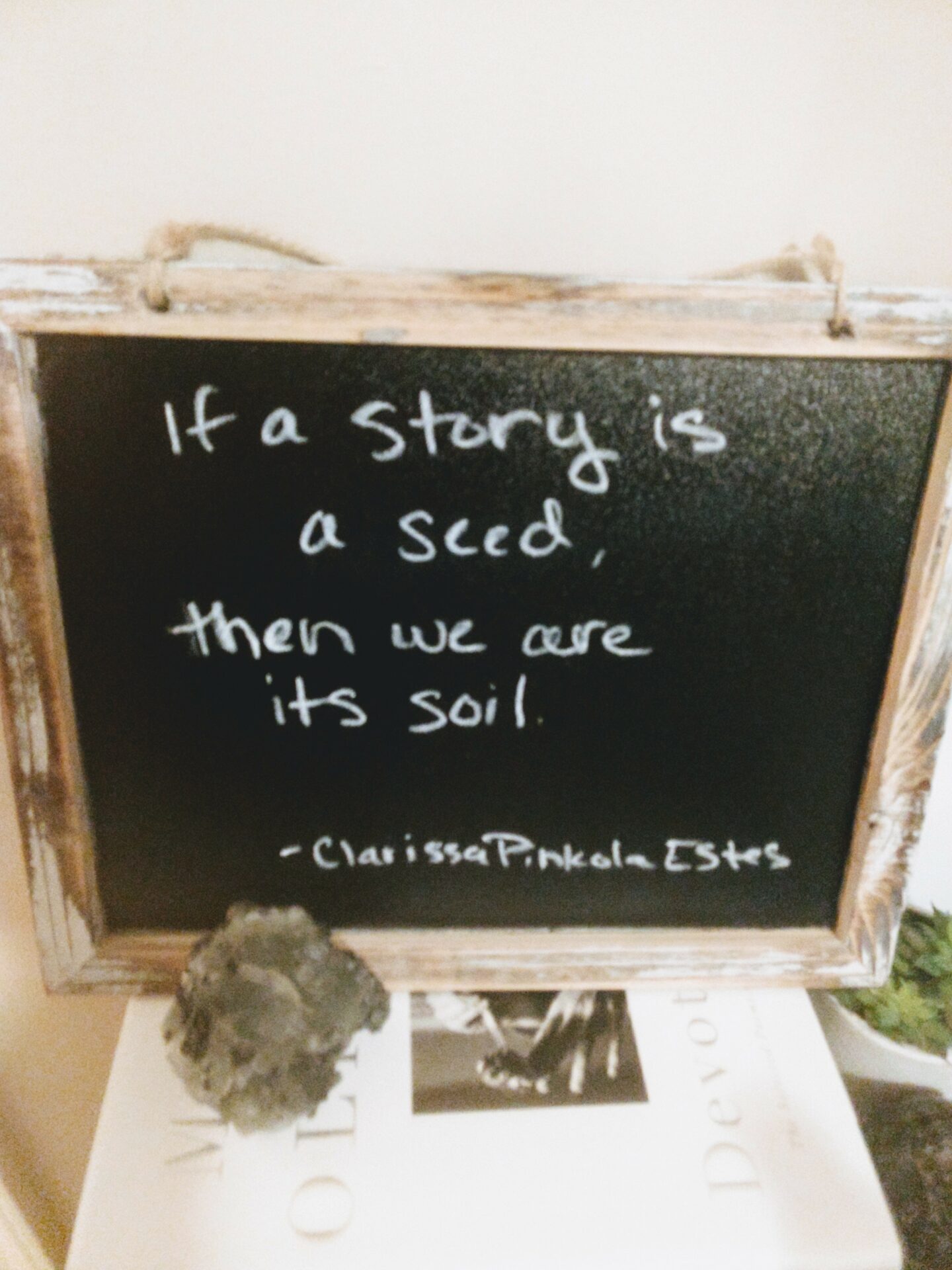 Meet Abby Wilson - Bold Journey Magazine