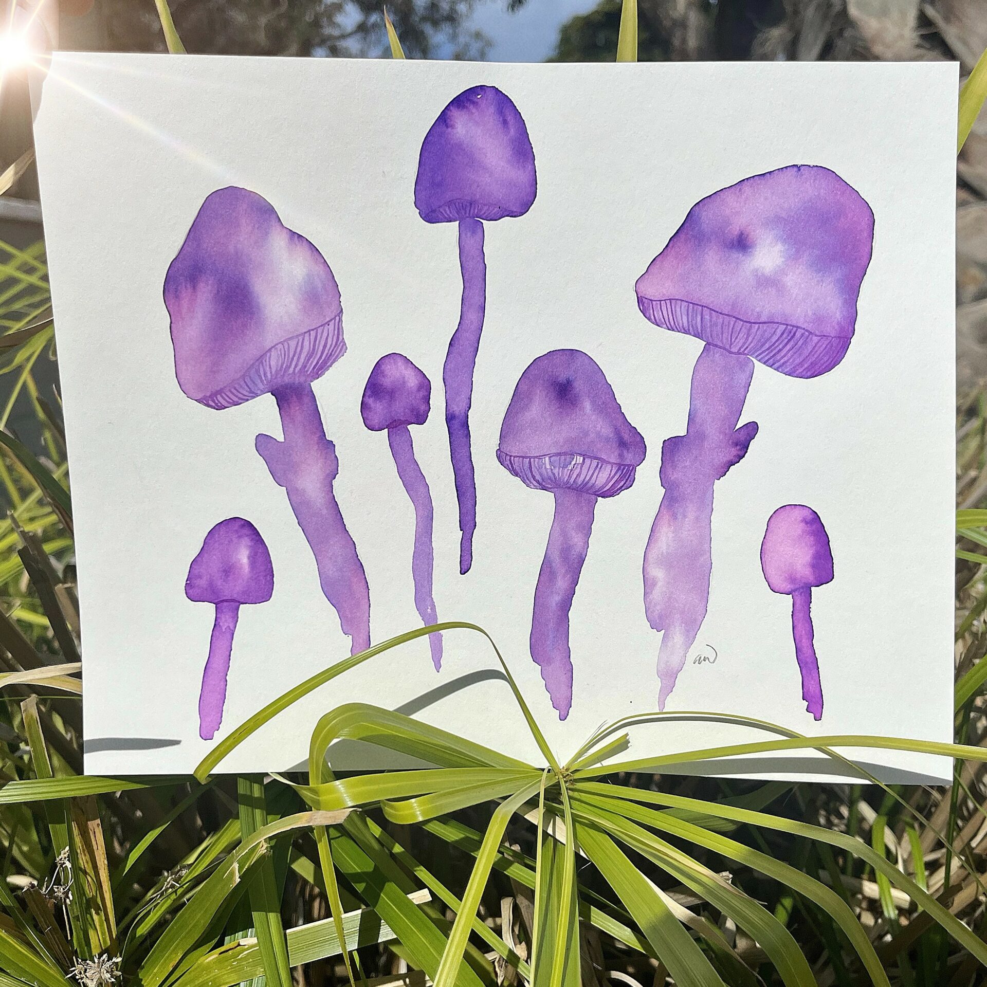 Meet Annie Wolk - Bold Journey Magazine