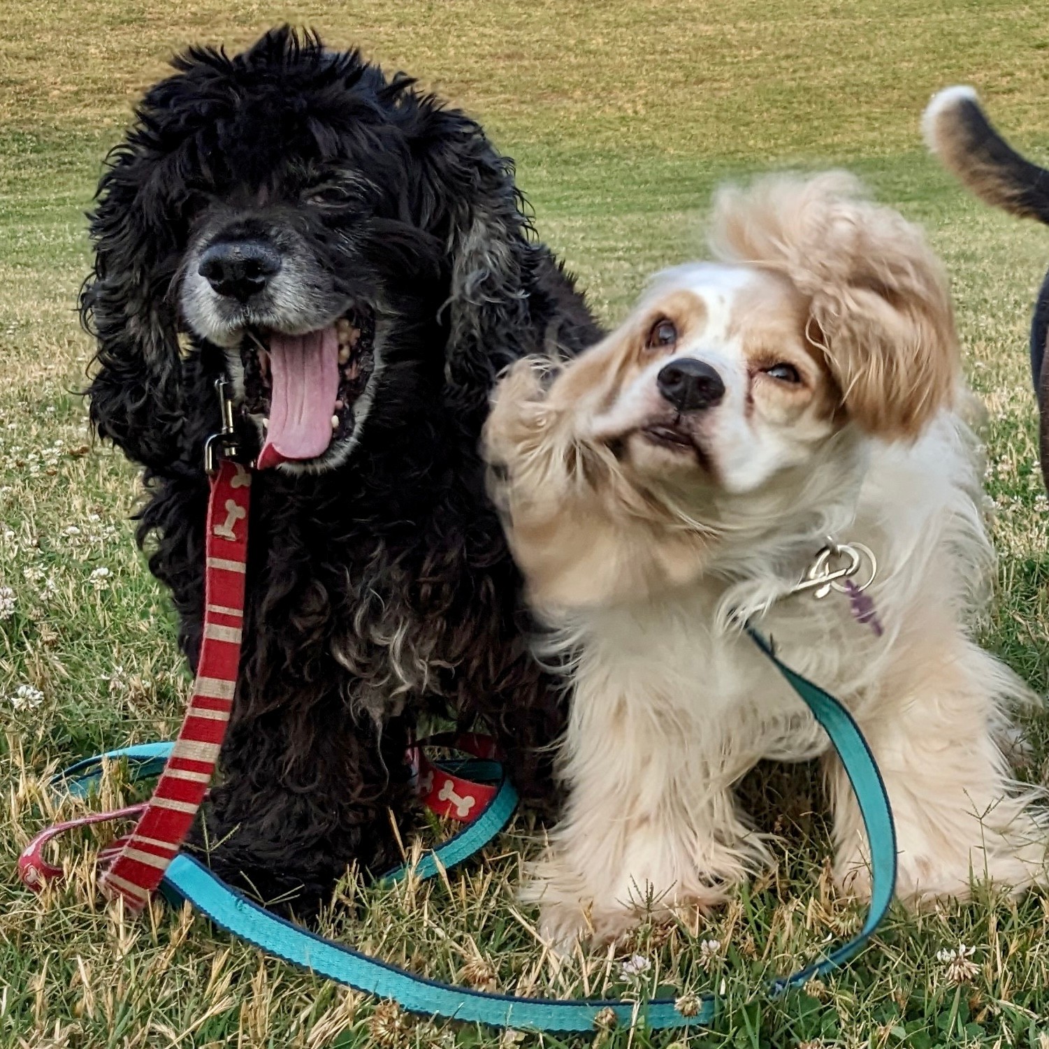 Meet Gabe Horton - Bold Journey Magazine