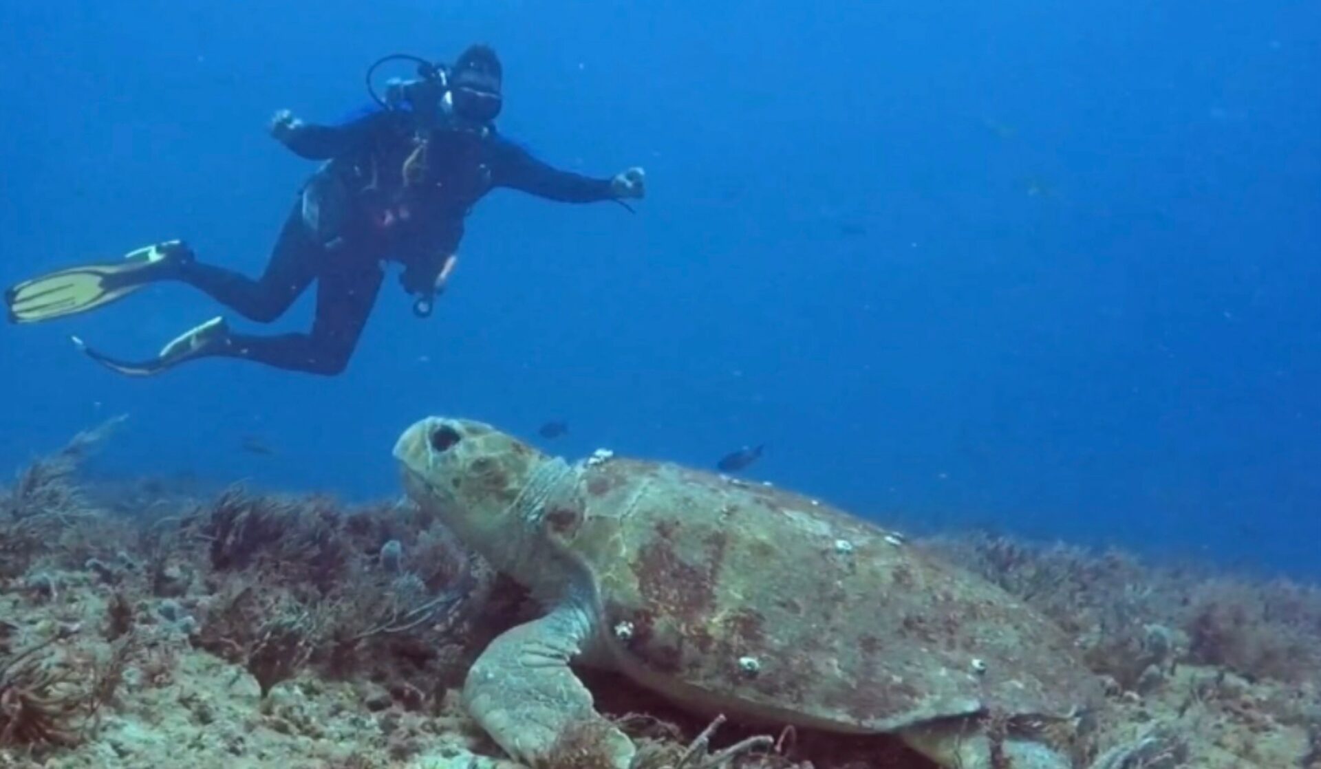 Meet Kendall Duffie - Bold Journey Magazine