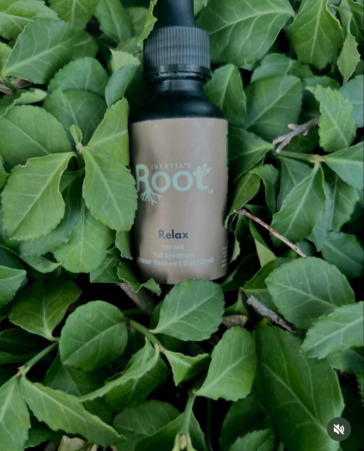 Meet Stuart Mcclean - Bold Journey Magazine