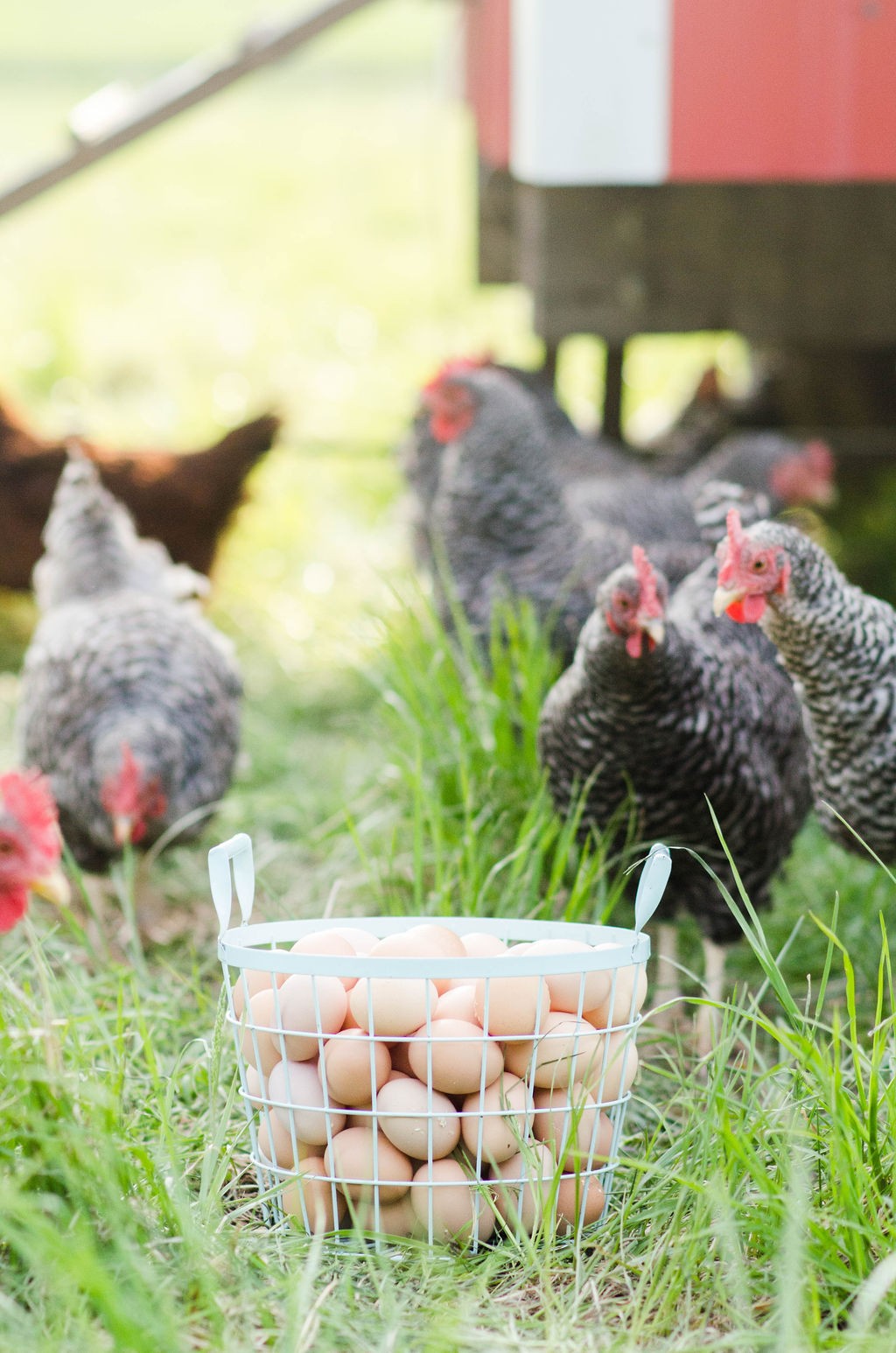 Meet Sarah Fischer - Bold Journey Magazine