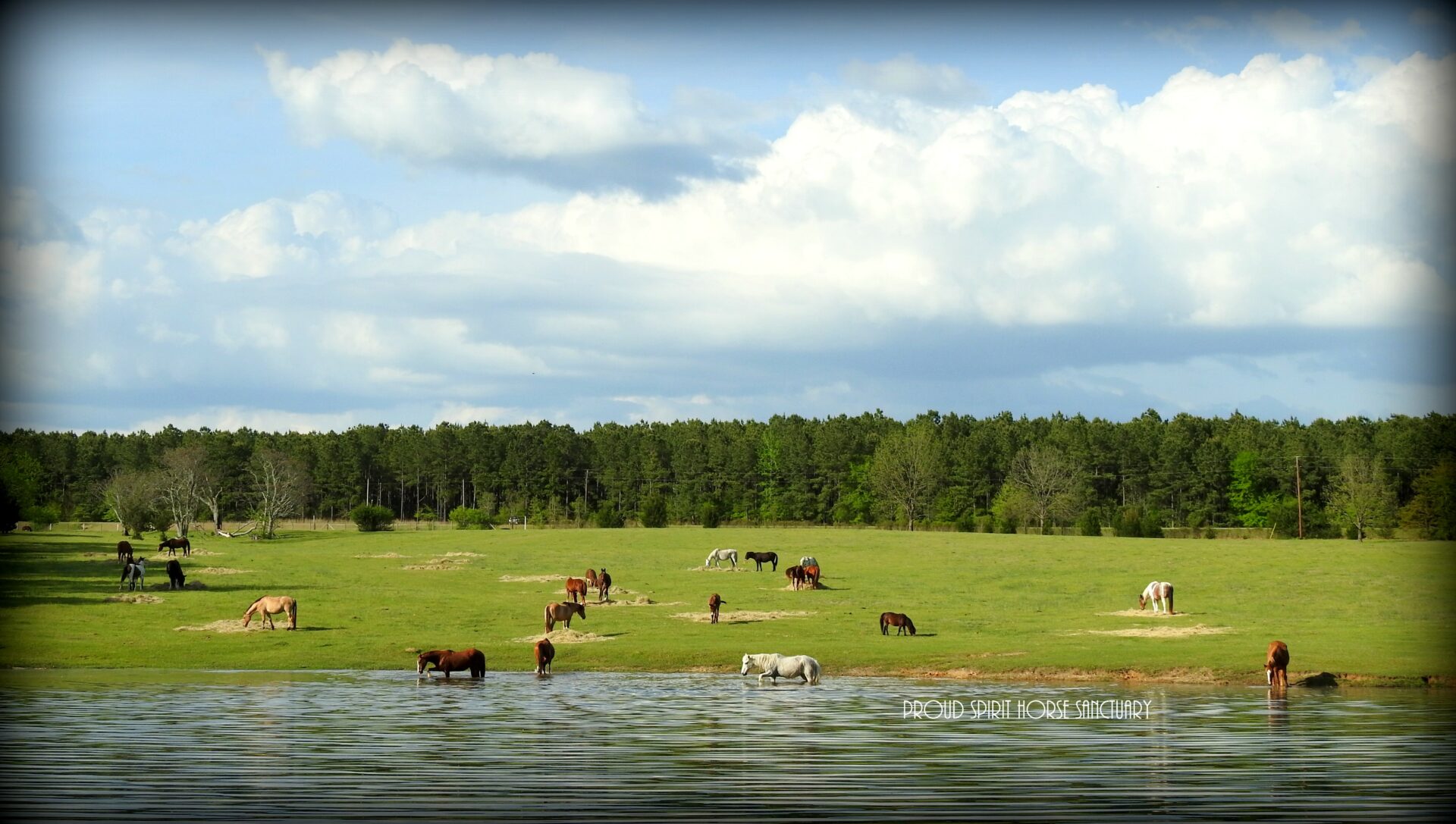 Meet Melanie Sue Bowles - Bold Journey Magazine