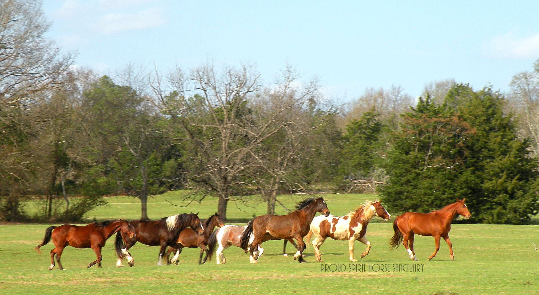 Meet Melanie Sue Bowles - Bold Journey Magazine