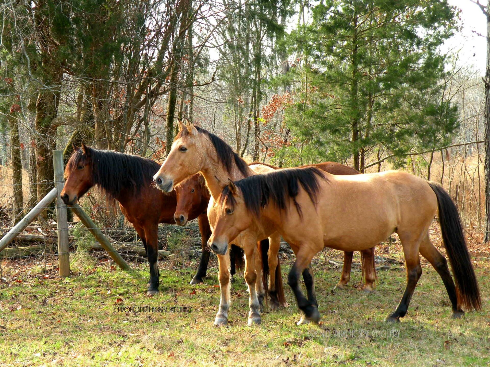 Meet Melanie Sue Bowles - Bold Journey Magazine