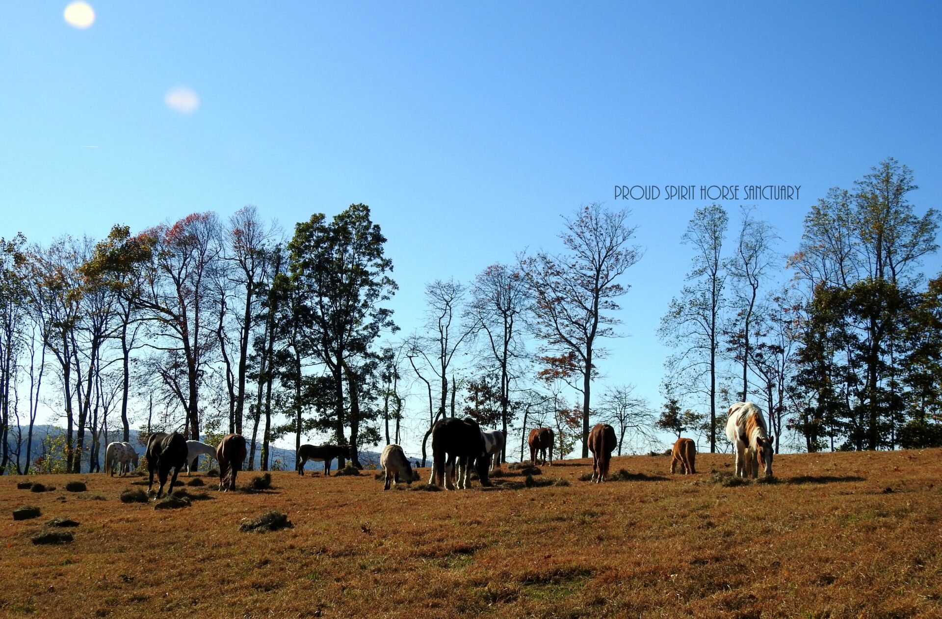 Meet Melanie Sue Bowles - Bold Journey Magazine