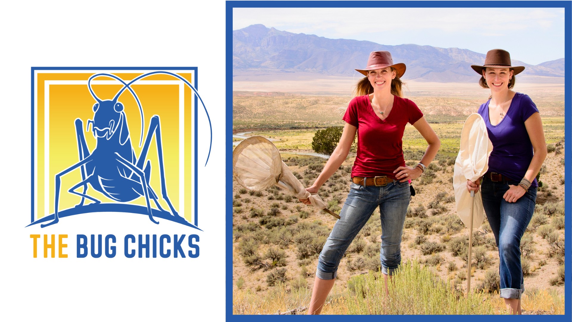 Meet The Bug Chicks - Bold Journey Magazine