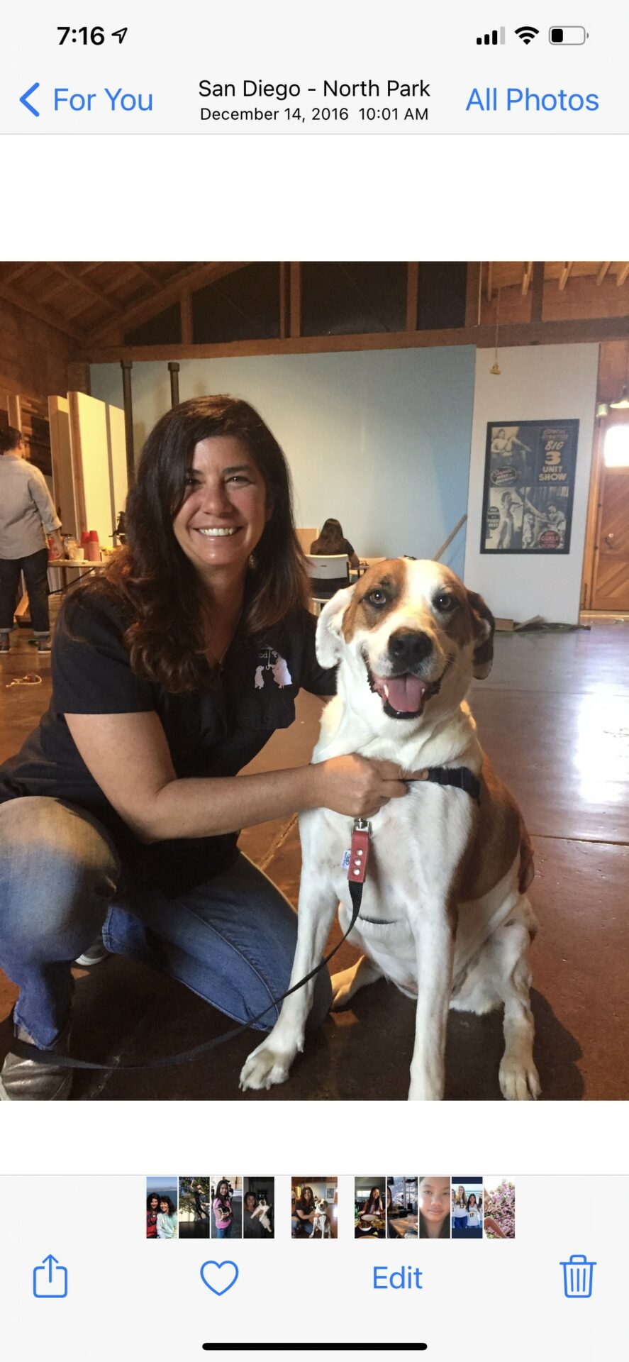 Meet Elaine Reiter - Bold Journey Magazine