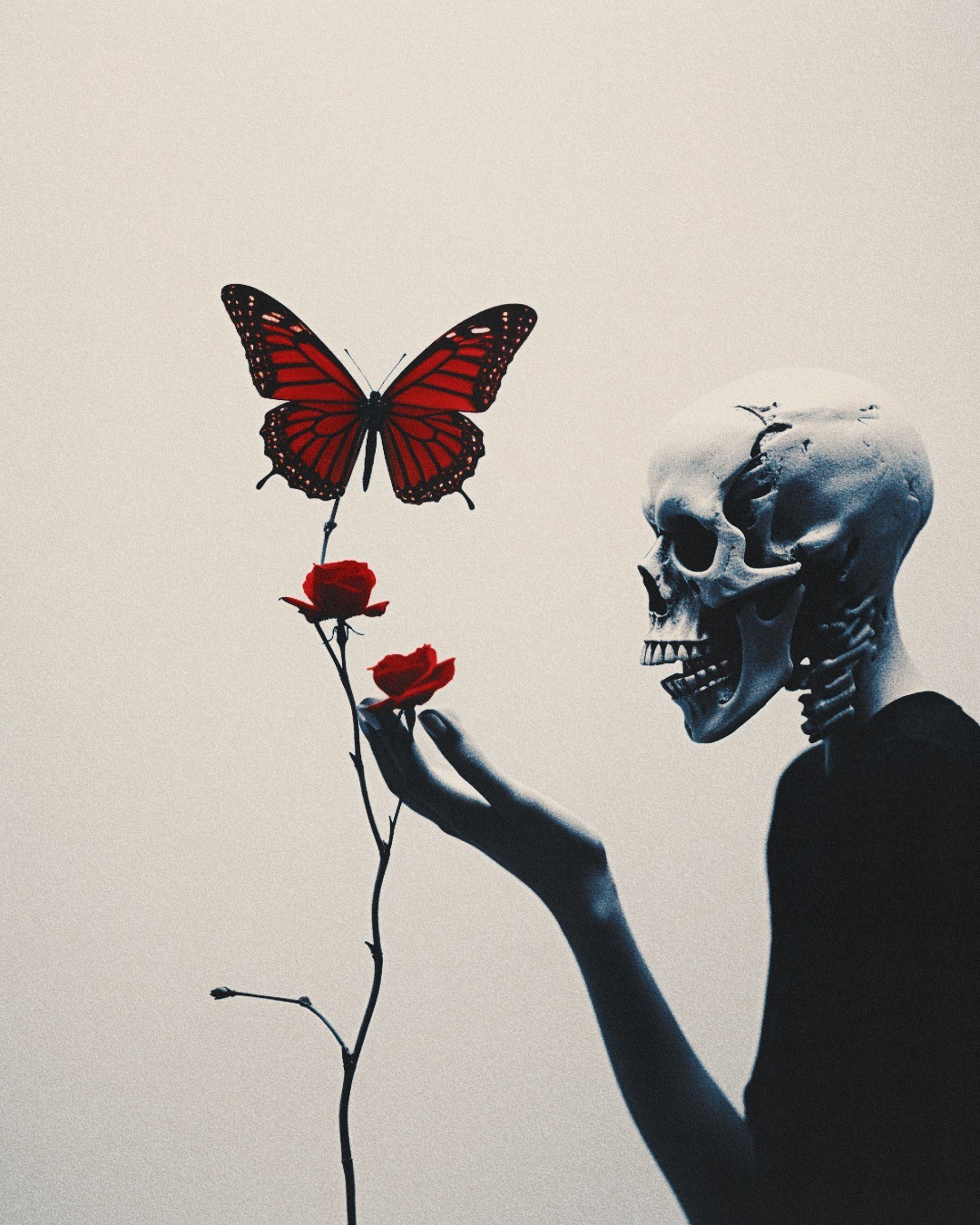 Meet Jordan Browne - Bold Journey Magazine