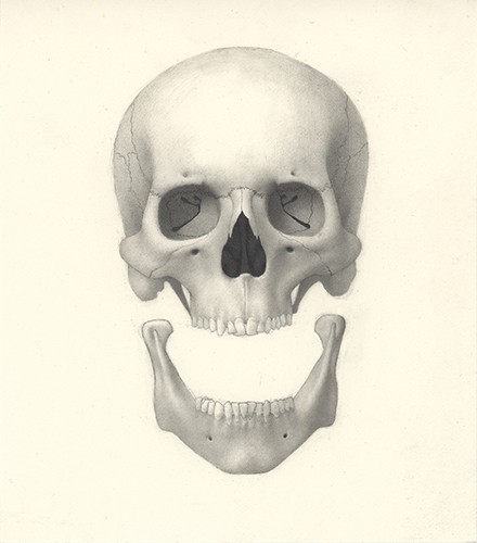 Meet Gabriela Handal - Bold Journey Magazine