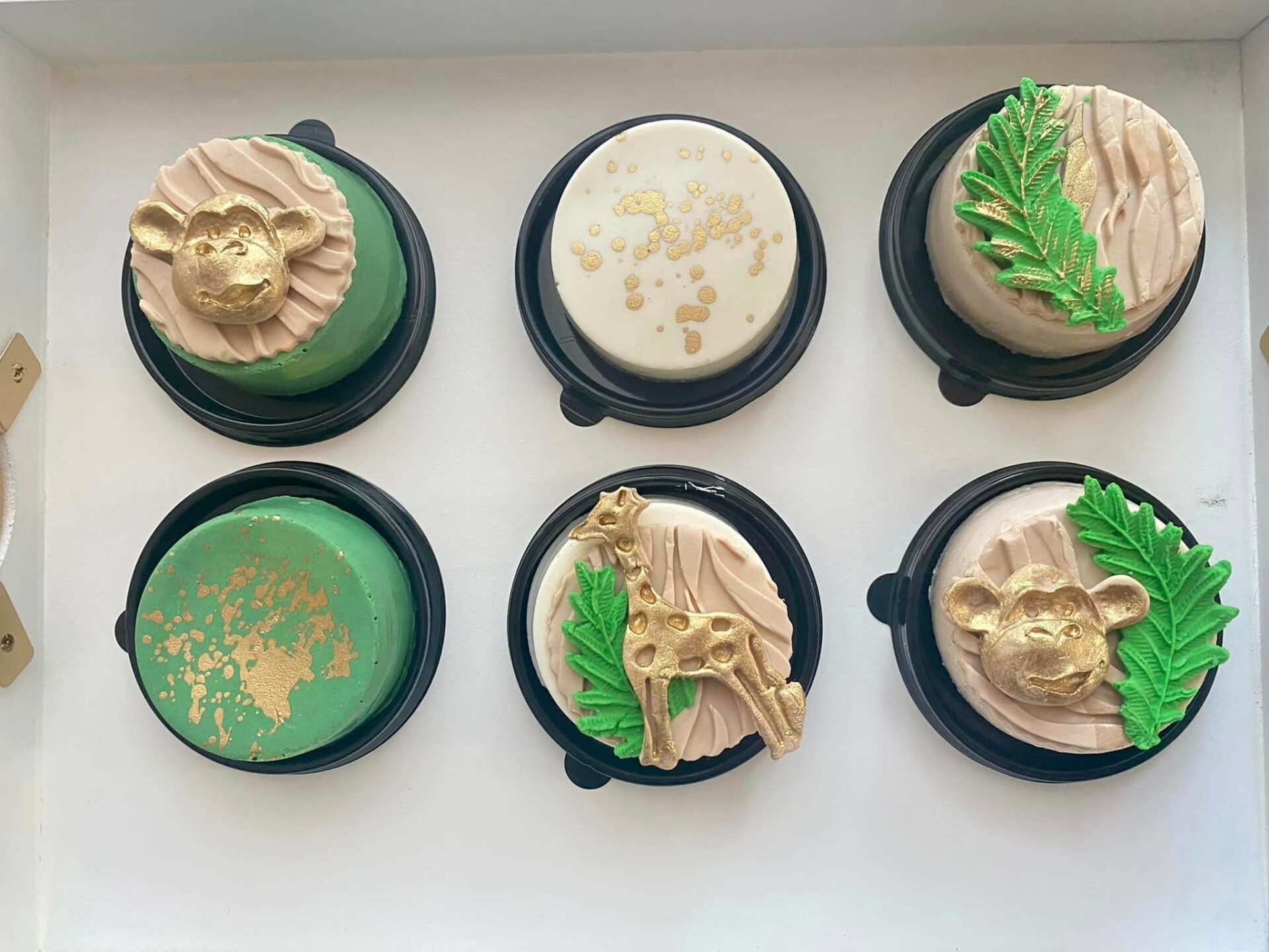 Meet Jasmine Lewis - Bold Journey Magazine