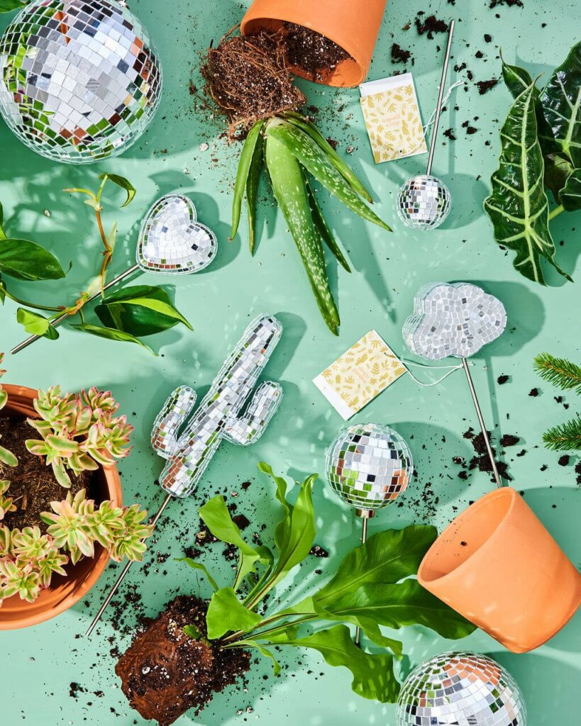 Meet Jillian Wells - Bold Journey Magazine