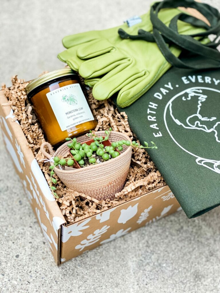 Meet Jillian Wells - Bold Journey Magazine