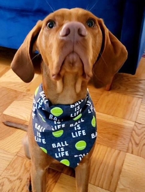 Meet Kerri Brown - Bold Journey Magazine