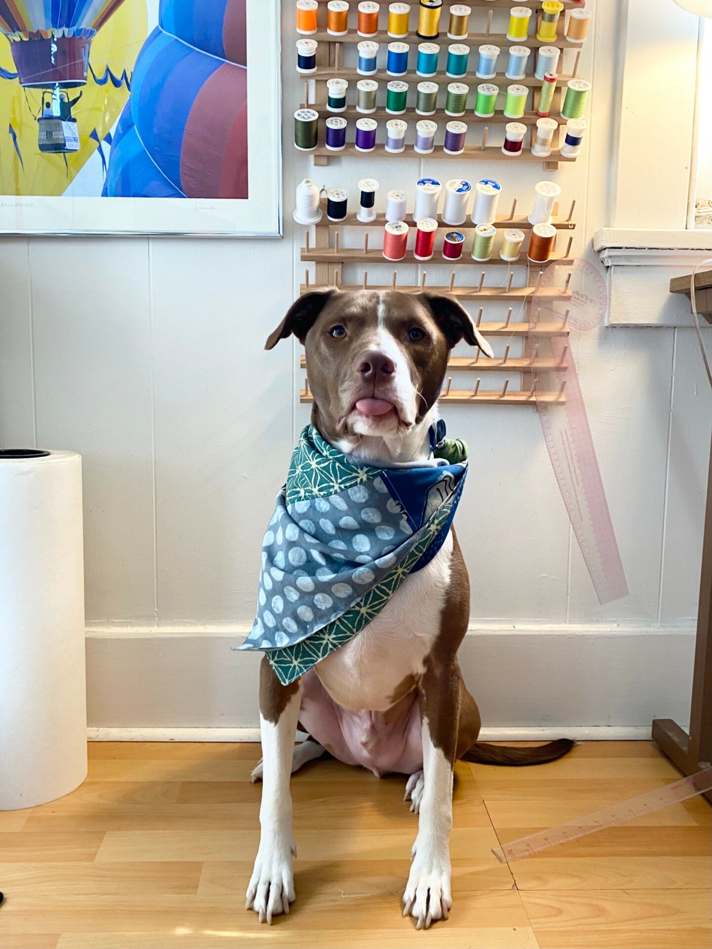 Meet Molly Greenberg - Bold Journey Magazine