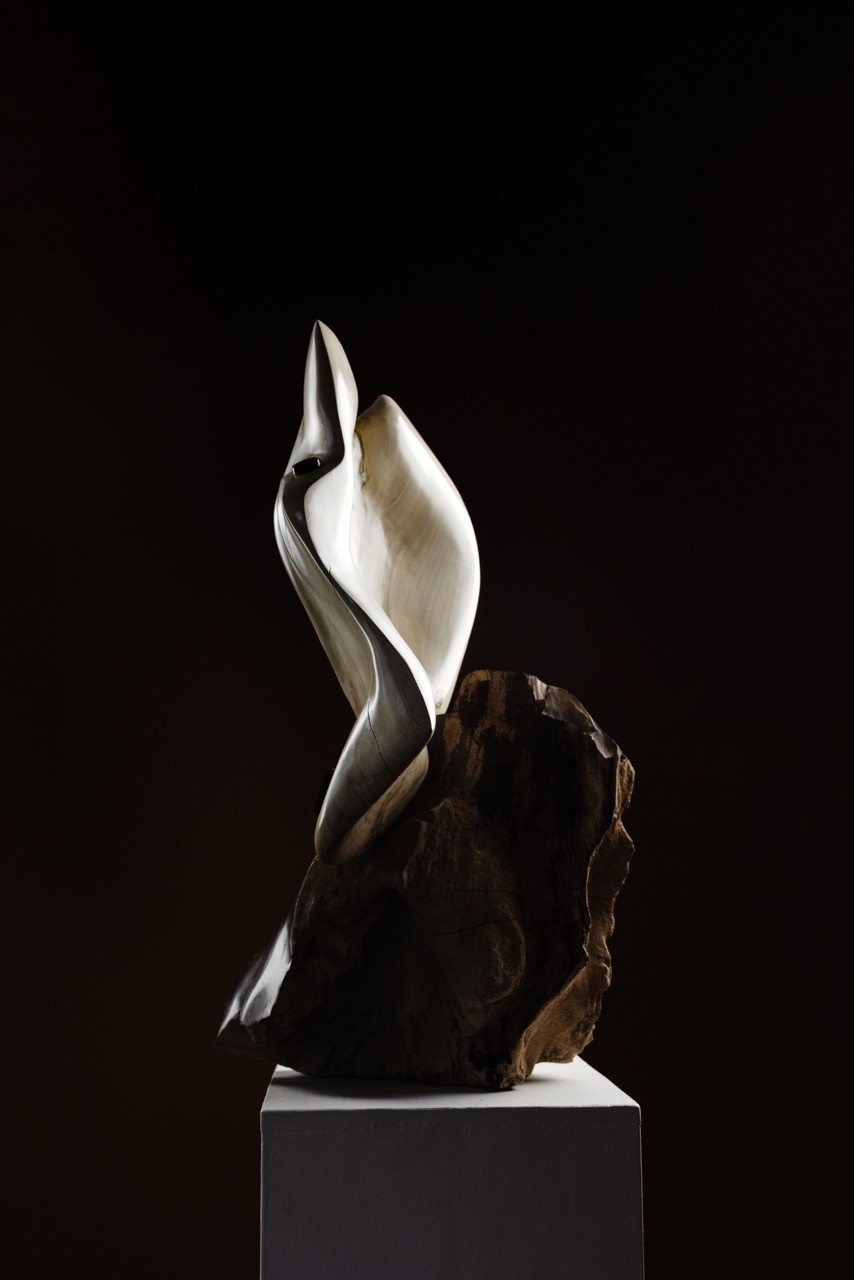 Meet Tyler Hoffart - Bold Journey Magazine