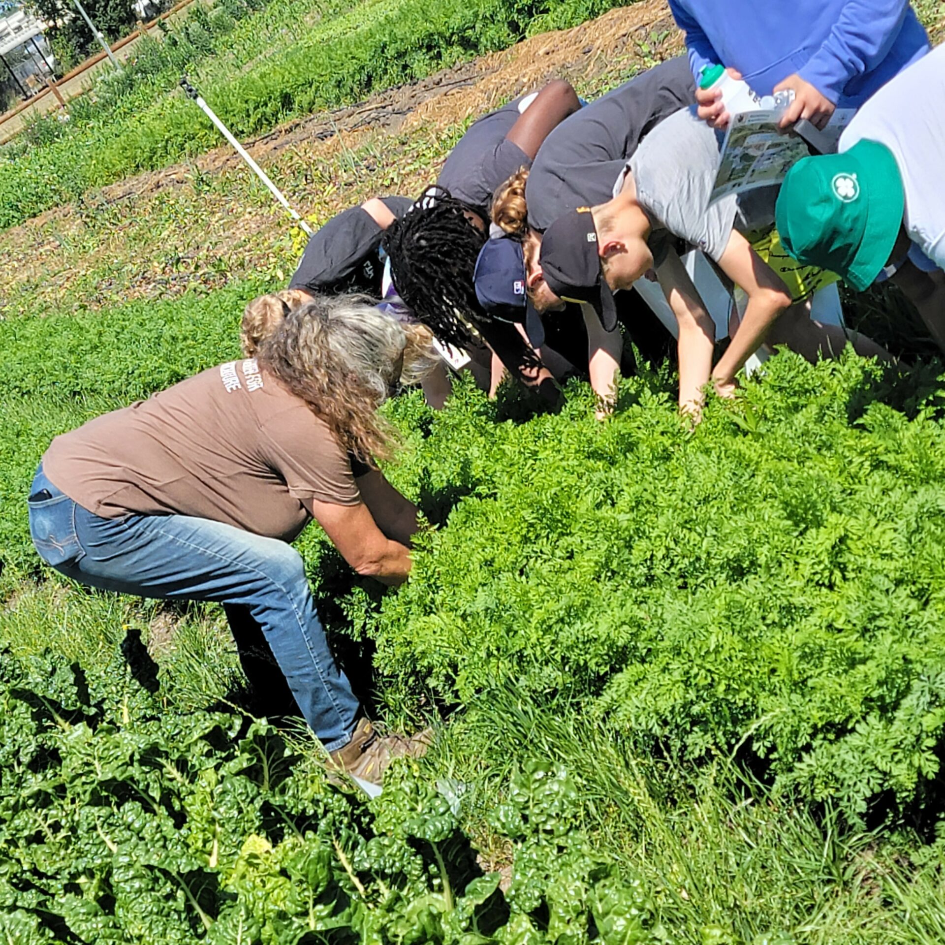 Meet Charlis Jeanette (Phillips) - Bold Journey Magazine