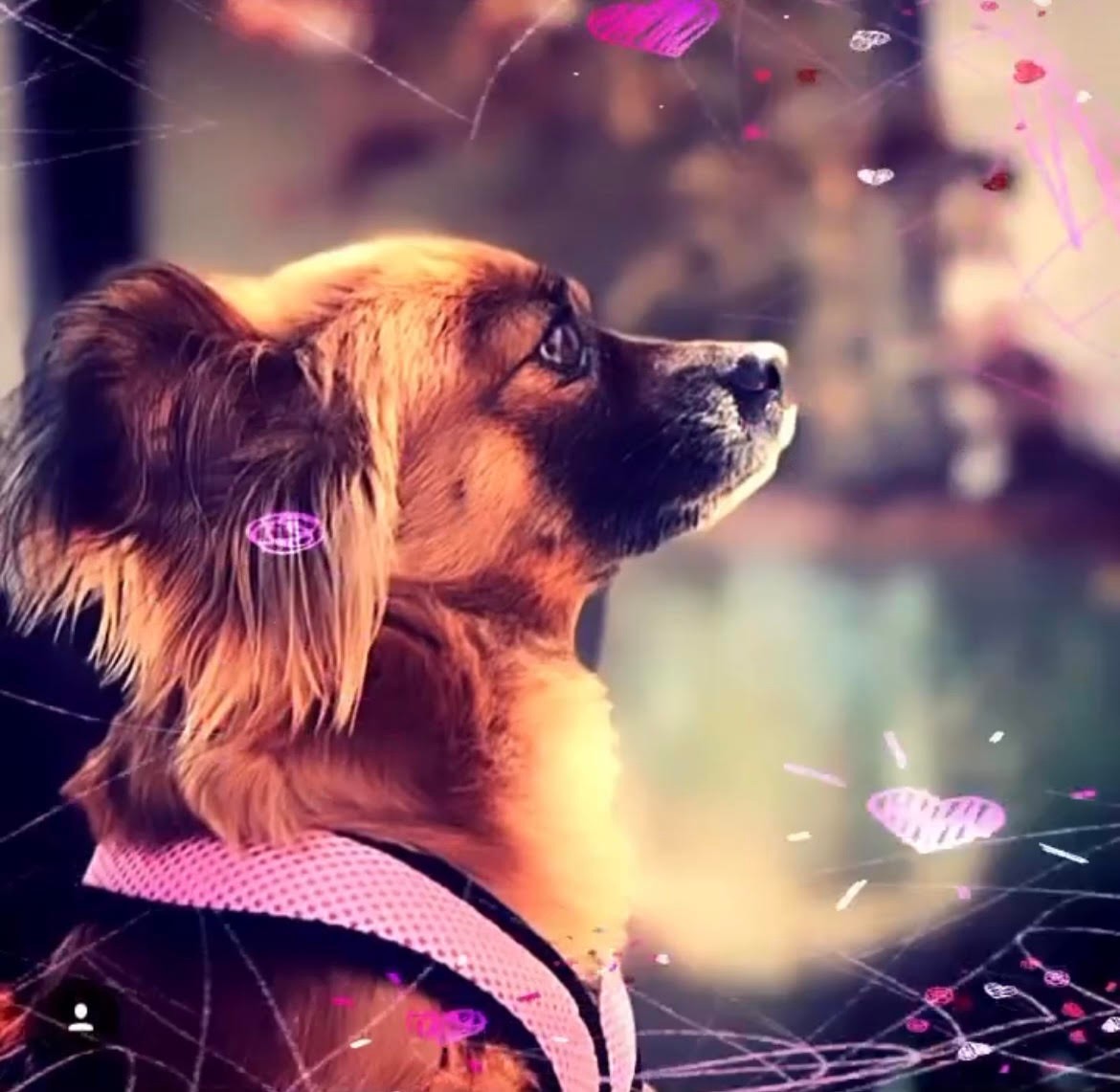 Meet Daniel Rhyder - Bold Journey Magazine