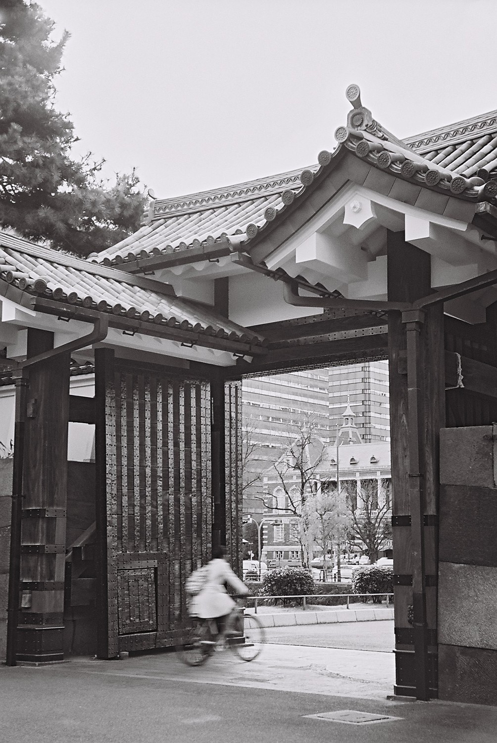 Meet FLOYD TAKEUCHI - Bold Journey Magazine