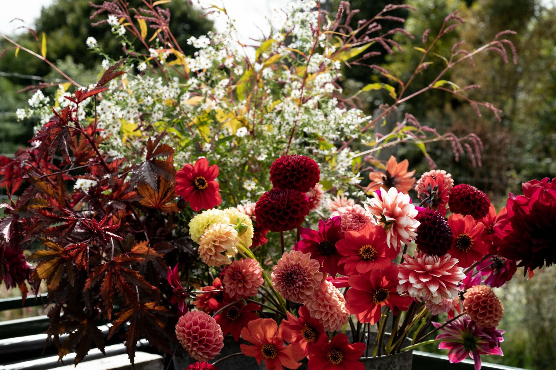 Meet Gretchen Winterkorn - Bold Journey Magazine