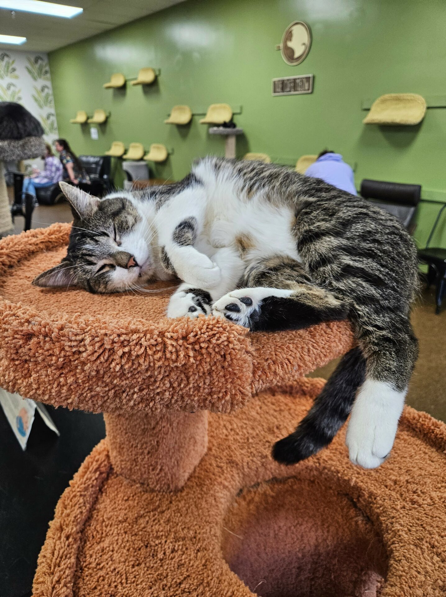 Meet Jessica Burge - Bold Journey Magazine