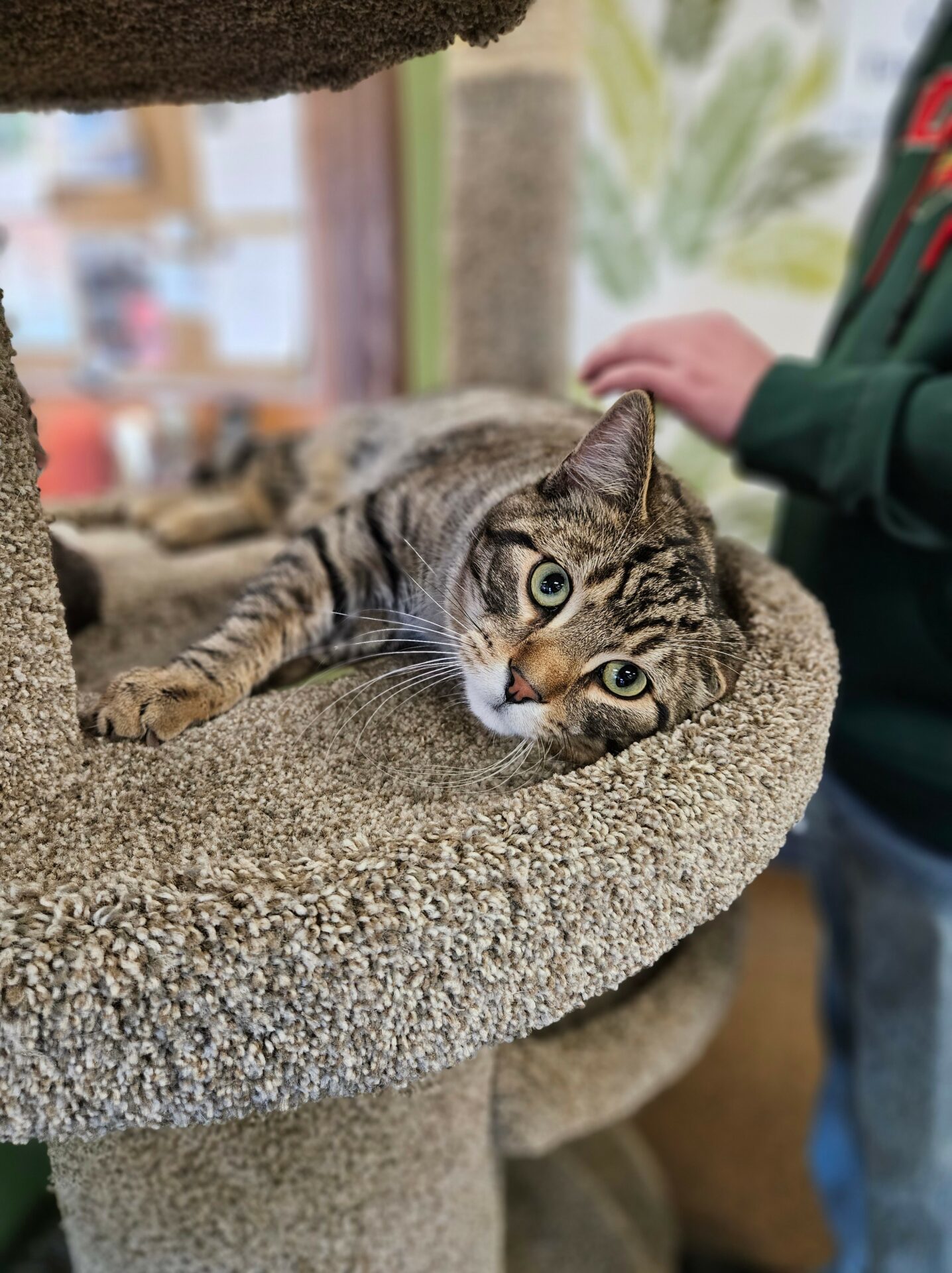 Meet Jessica Burge - Bold Journey Magazine