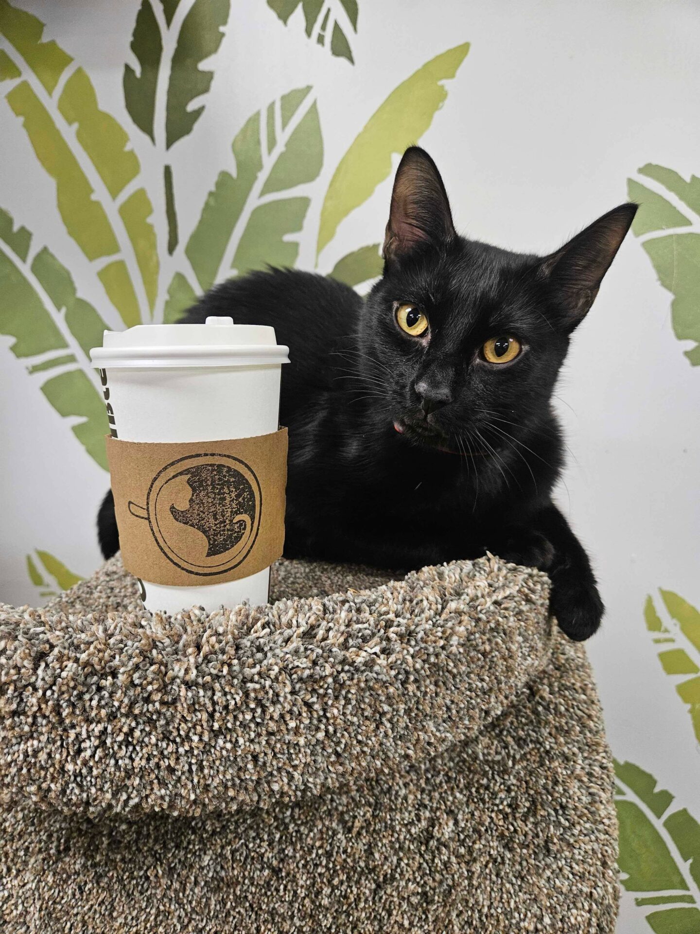 Meet Jessica Burge - Bold Journey Magazine