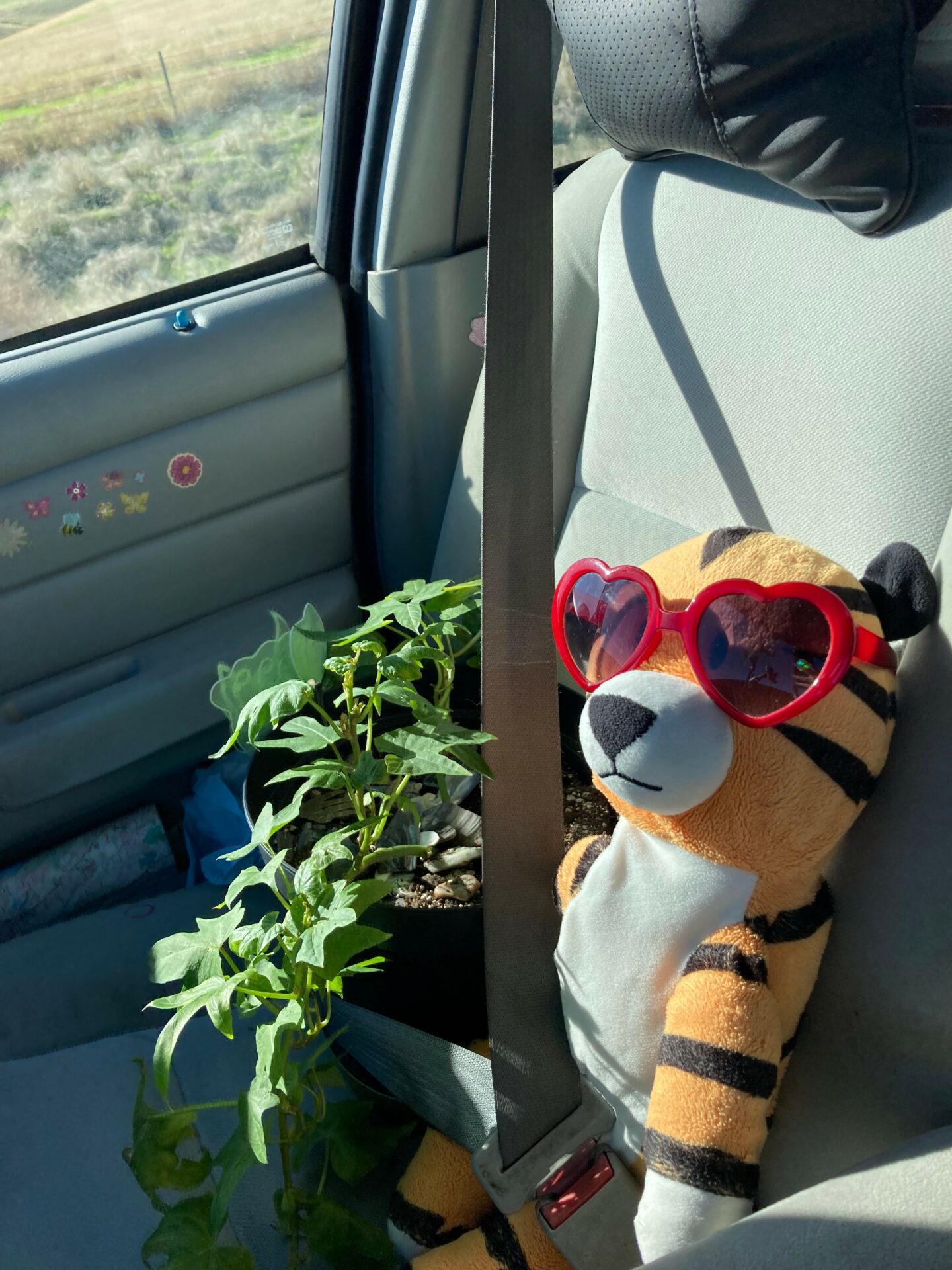 Meet Julia Editz - Bold Journey Magazine