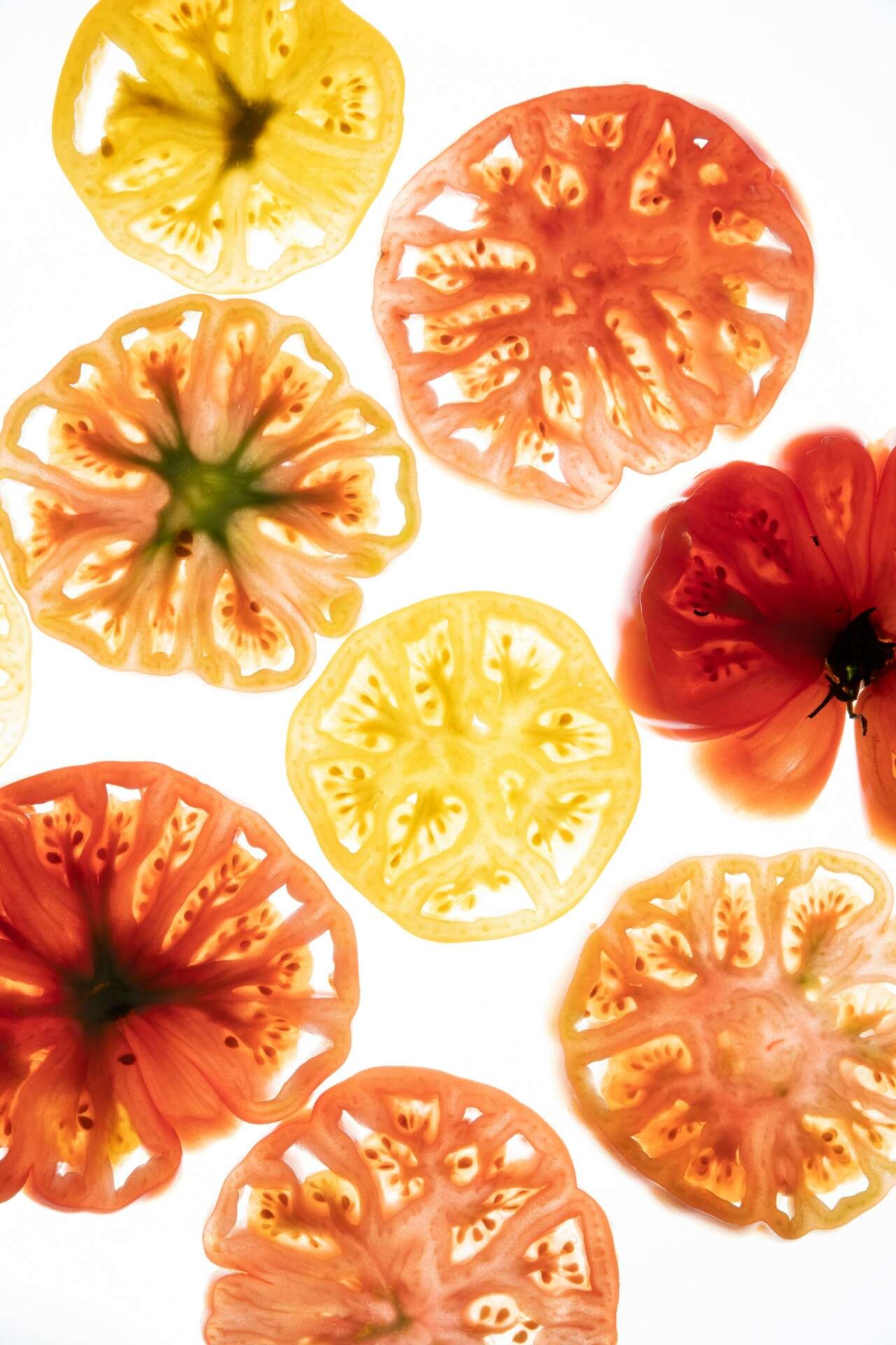 Meet Mary Vallarta - Bold Journey Magazine