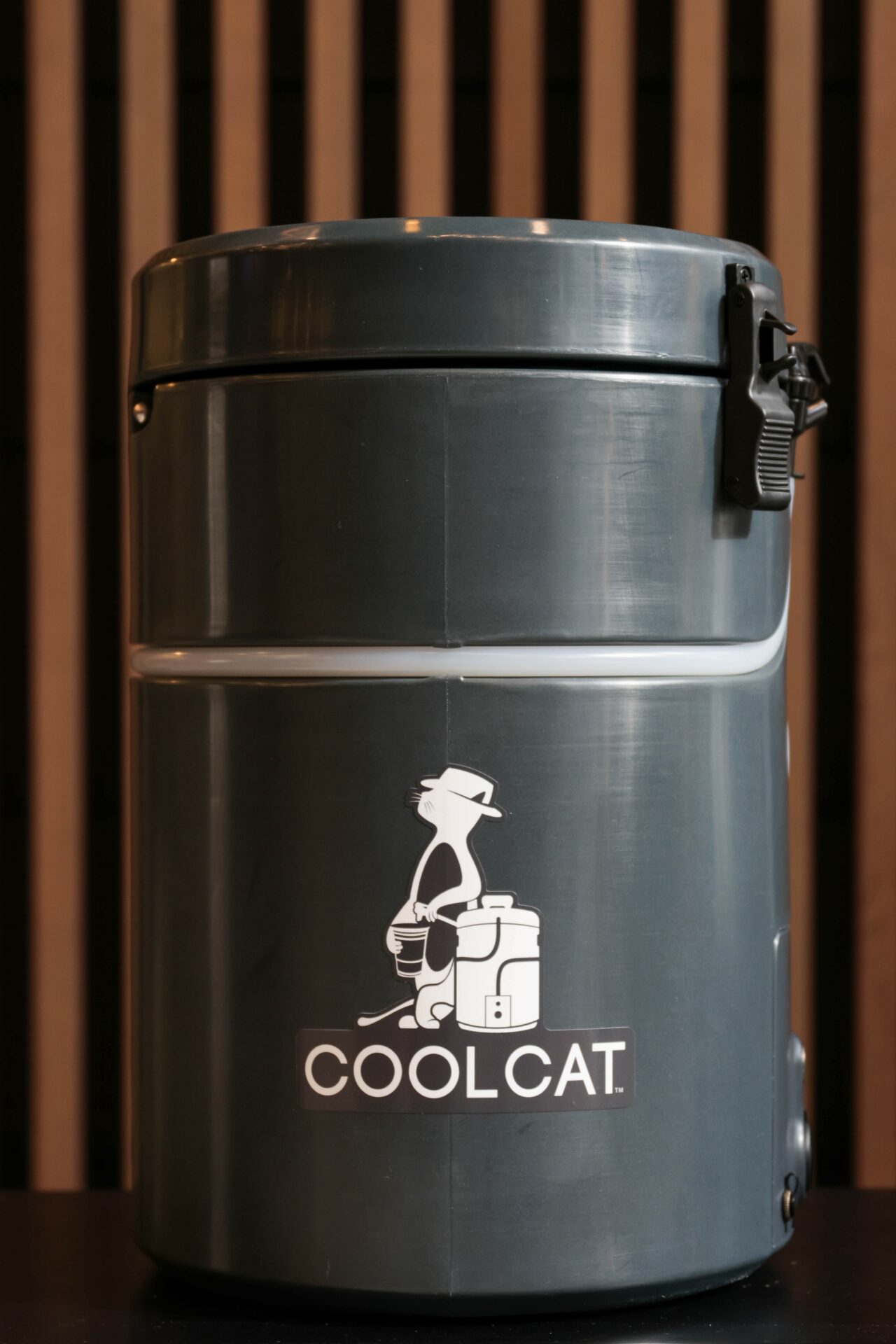 Meet Max Rizzo Thomas Manno - Bold Journey Magazine