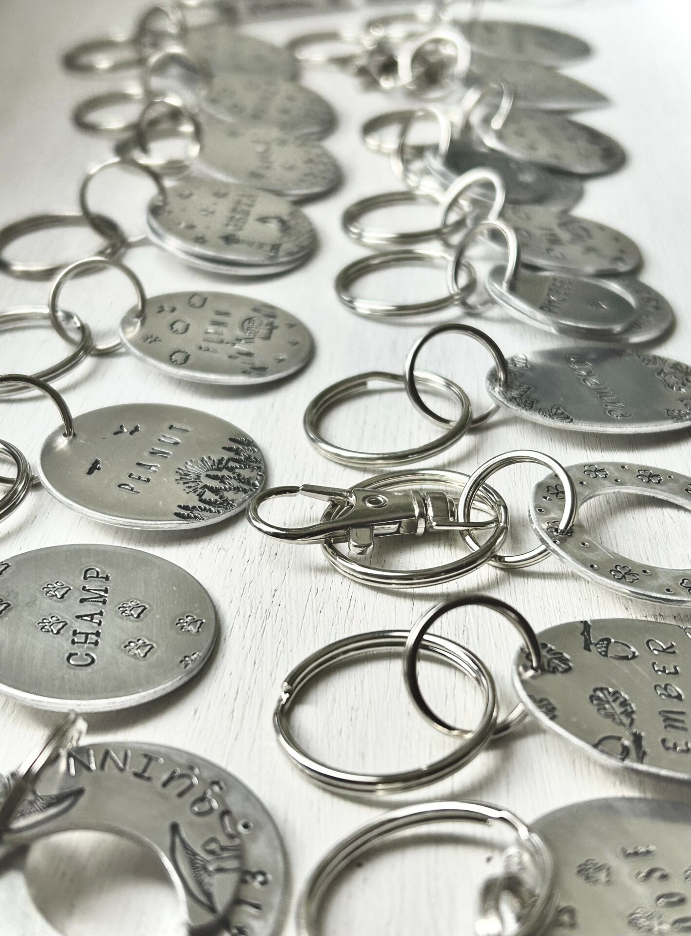 Meet Mikayla Hollrah - Bold Journey Magazine