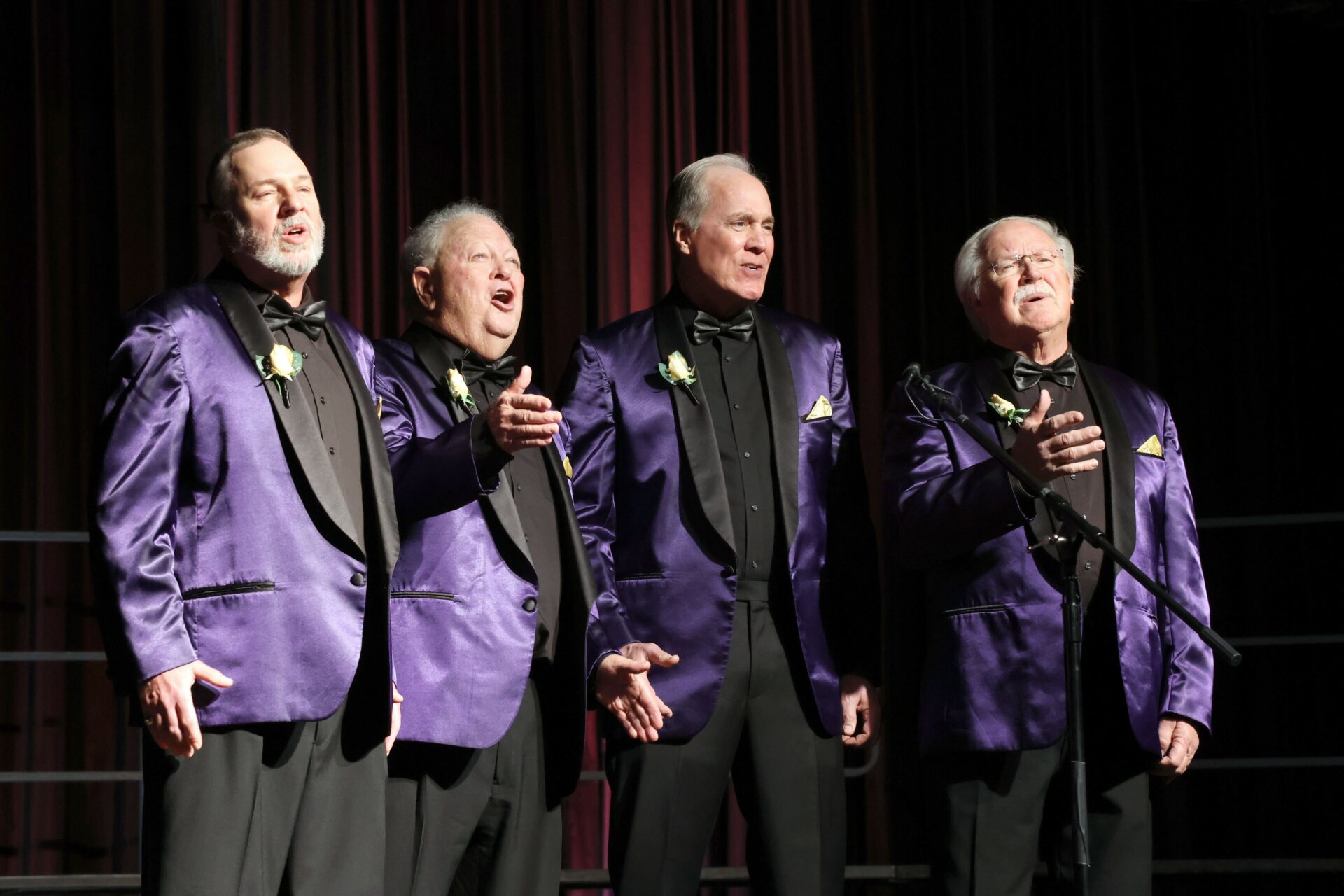 Meet Nat Comisar - Bold Journey Magazine