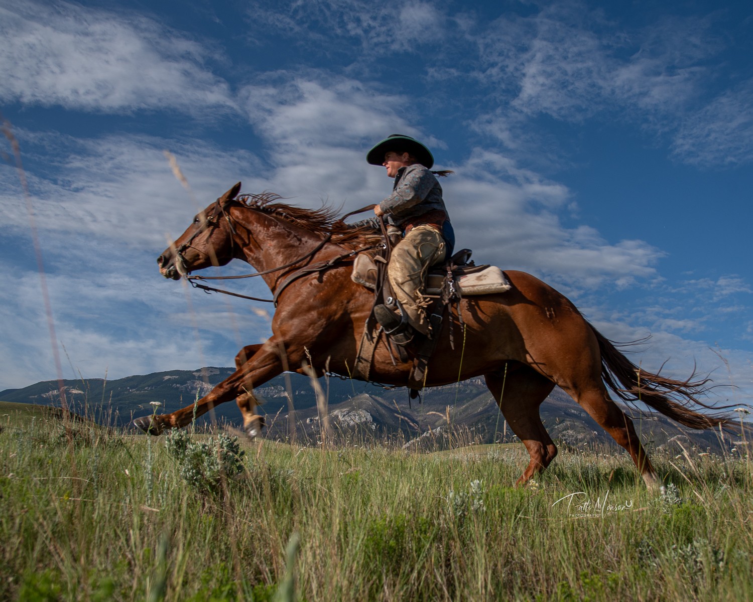 Meet Patti Monson - Bold Journey Magazine