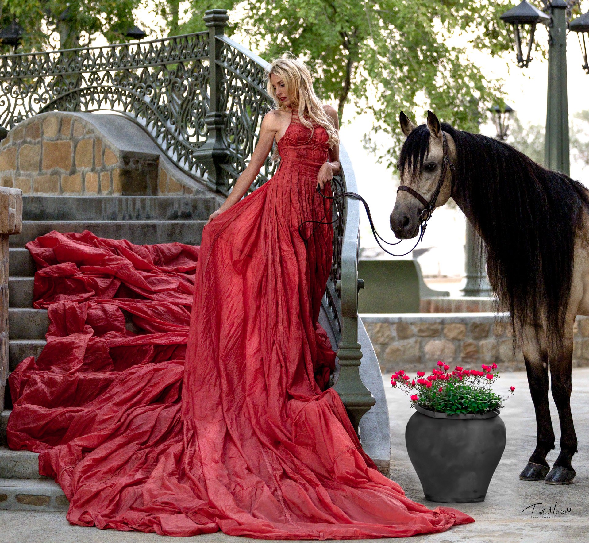 Meet Patti Monson - Bold Journey Magazine