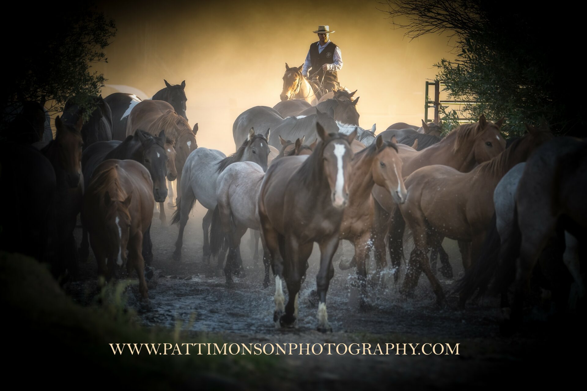 Meet Patti Monson - Bold Journey Magazine