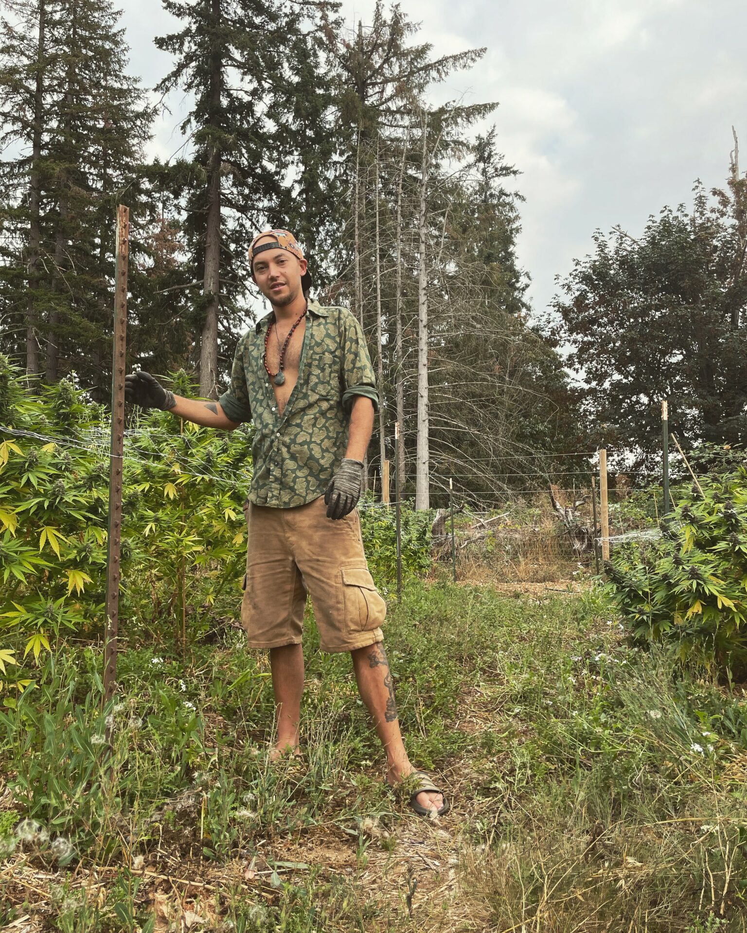 Meet Travis and Logan Bond - Bold Journey Magazine