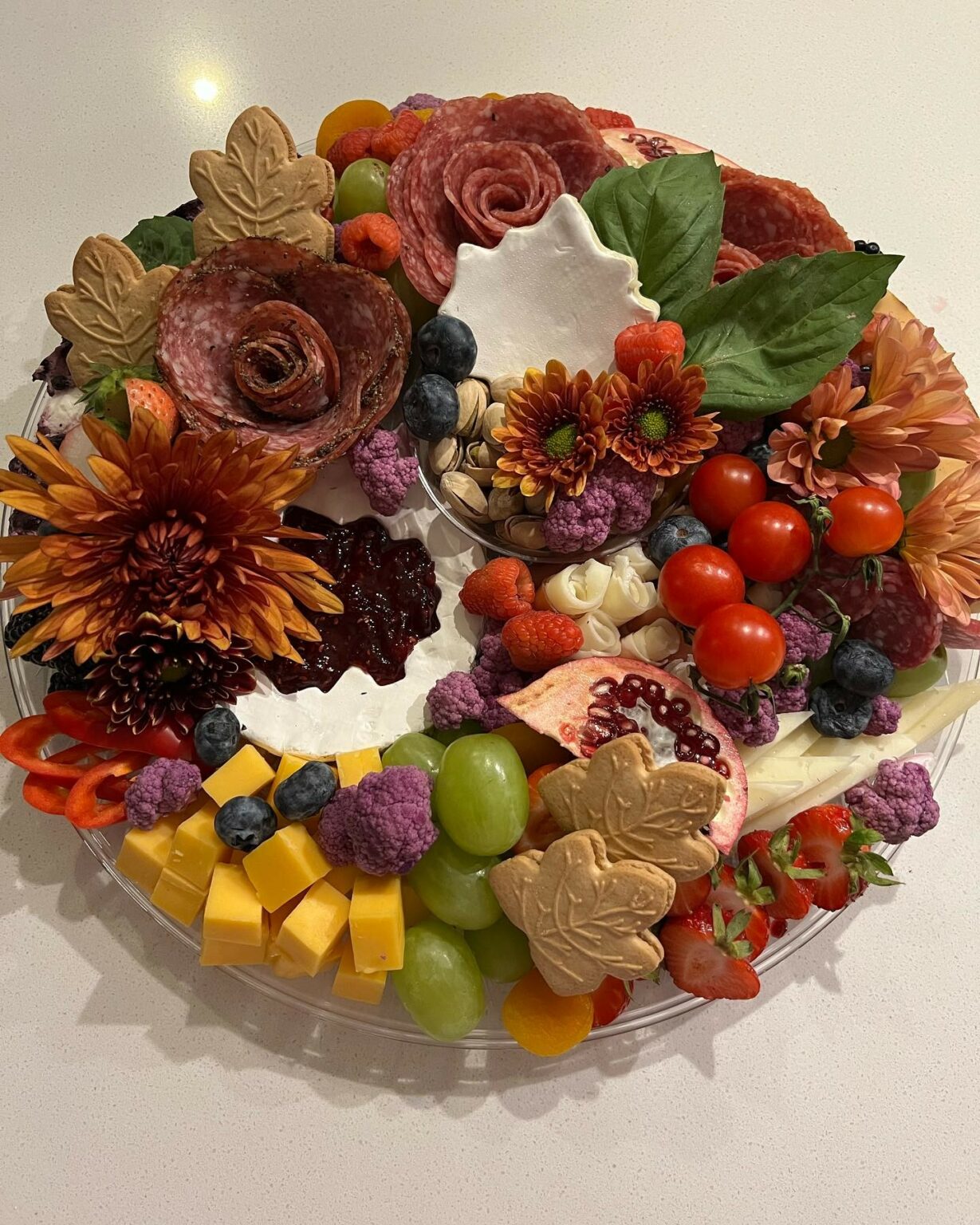 Meet Carol Malloy - Bold Journey Magazine