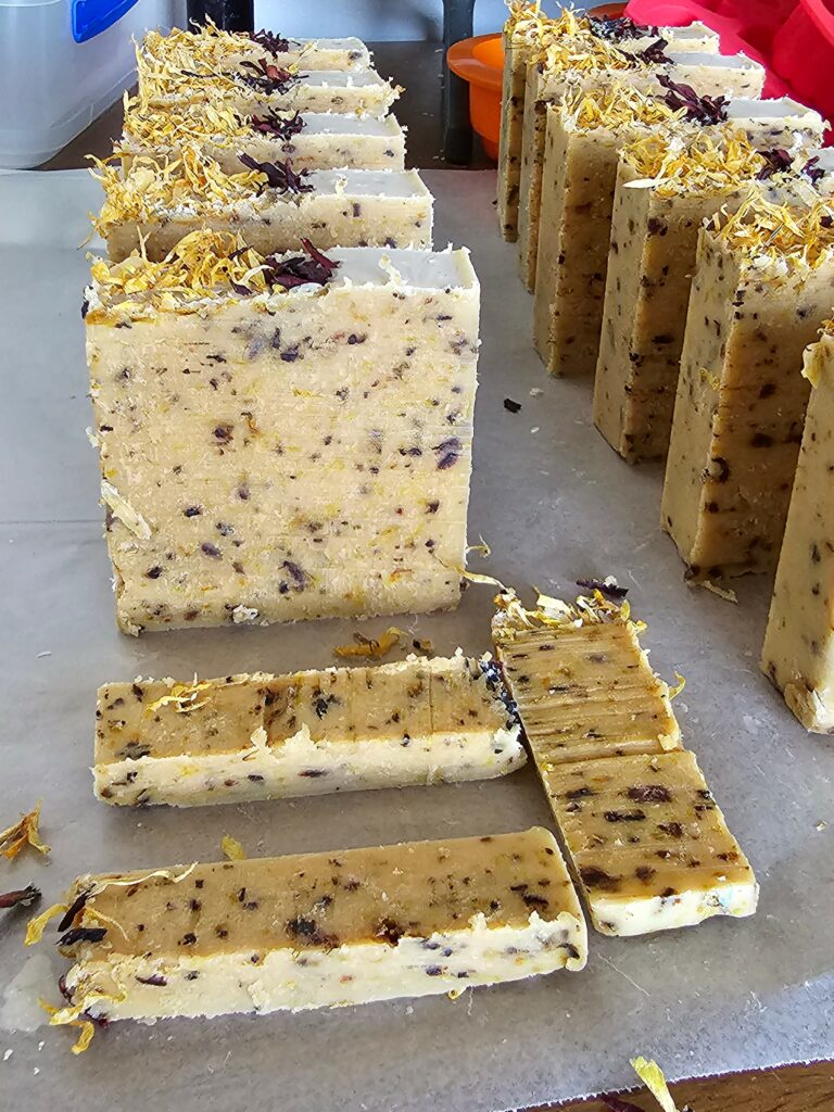 Meet Fiona Miller - Bold Journey Magazine