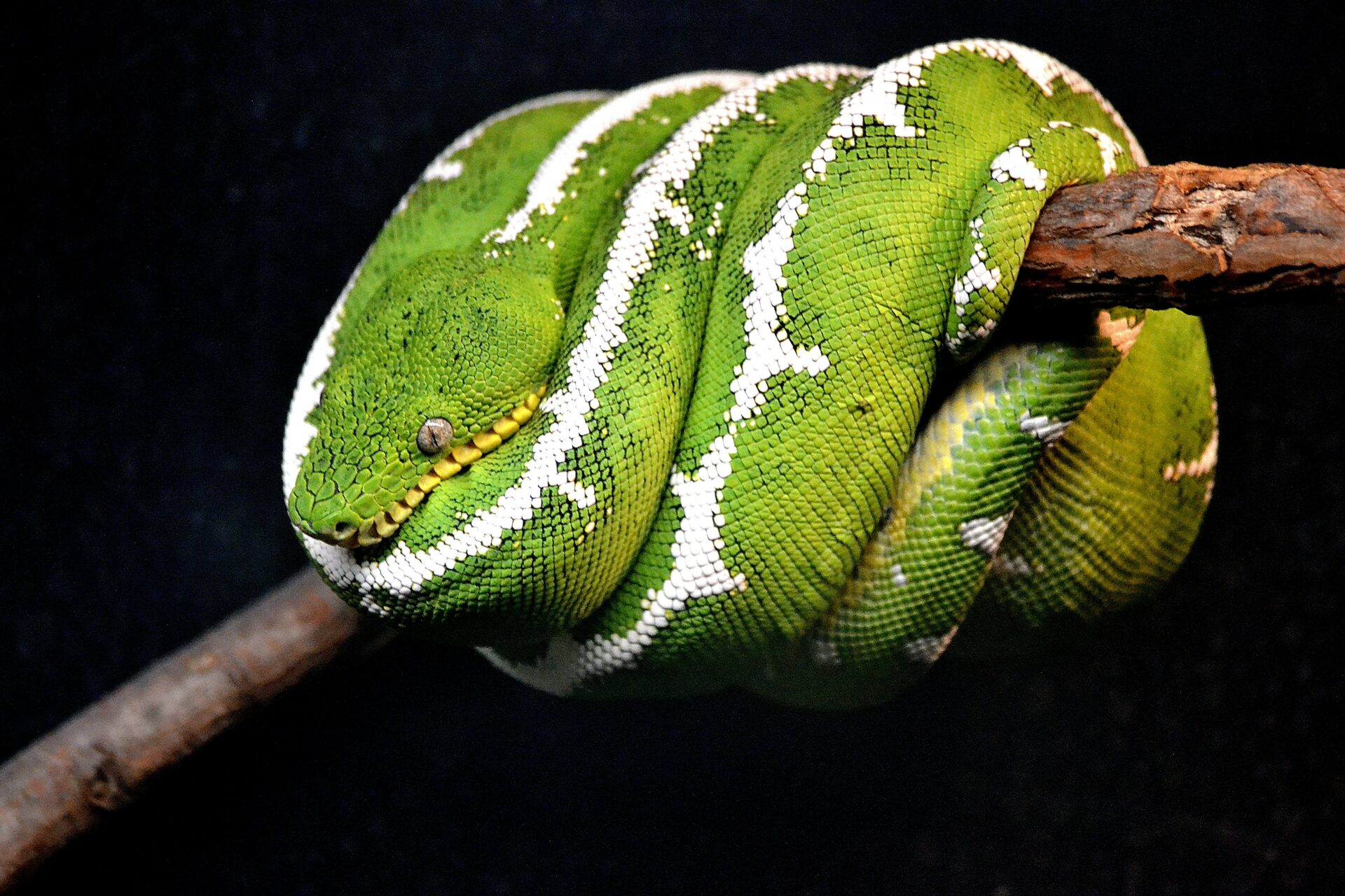 Meet Jamie & Steve Fowler - Bold Journey Magazine