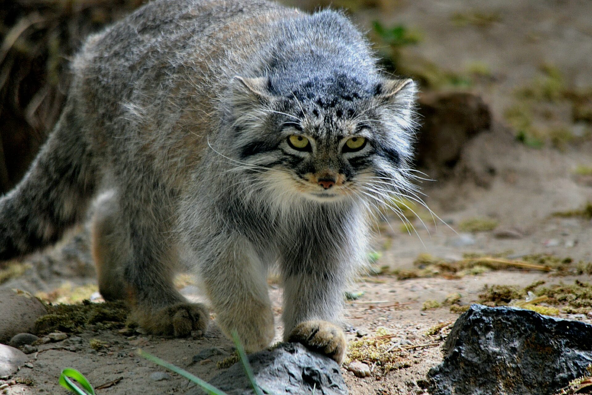 Meet Jamie & Steve Fowler - Bold Journey Magazine