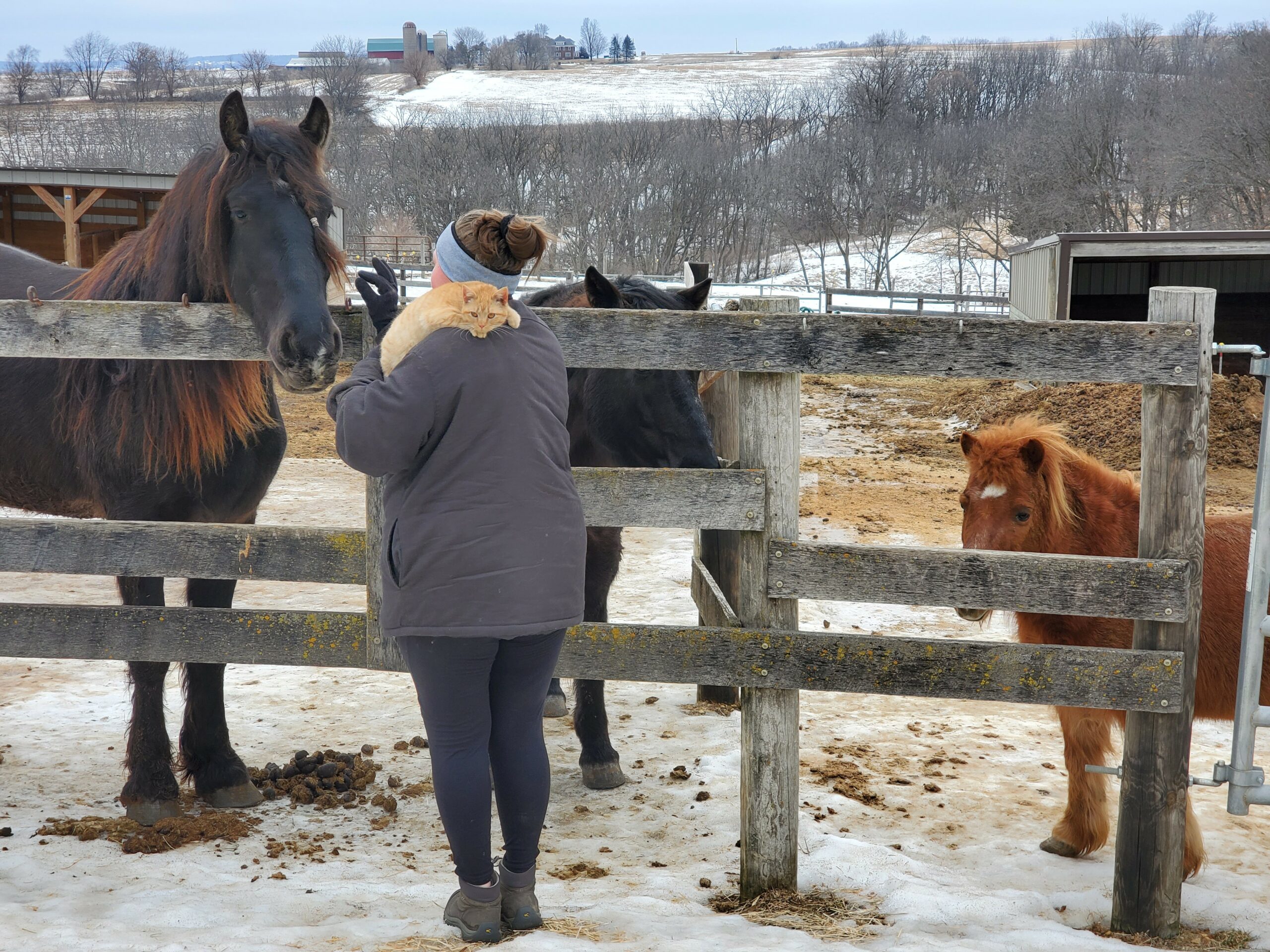 Meet Jess Dallman - Bold Journey Magazine